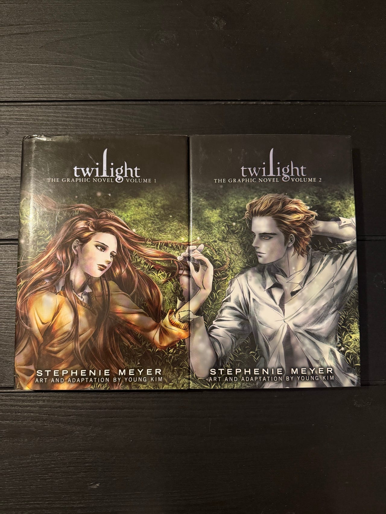 Stephenie Meyer Twilight Saga Graphic Novels og Illustrert Guide | FINN ...