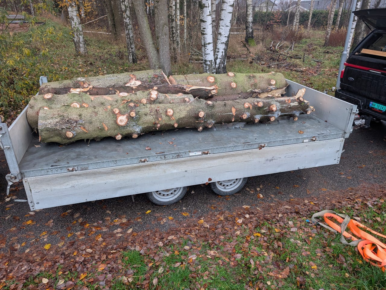Ved stokk fra grantrær | FINN-torget