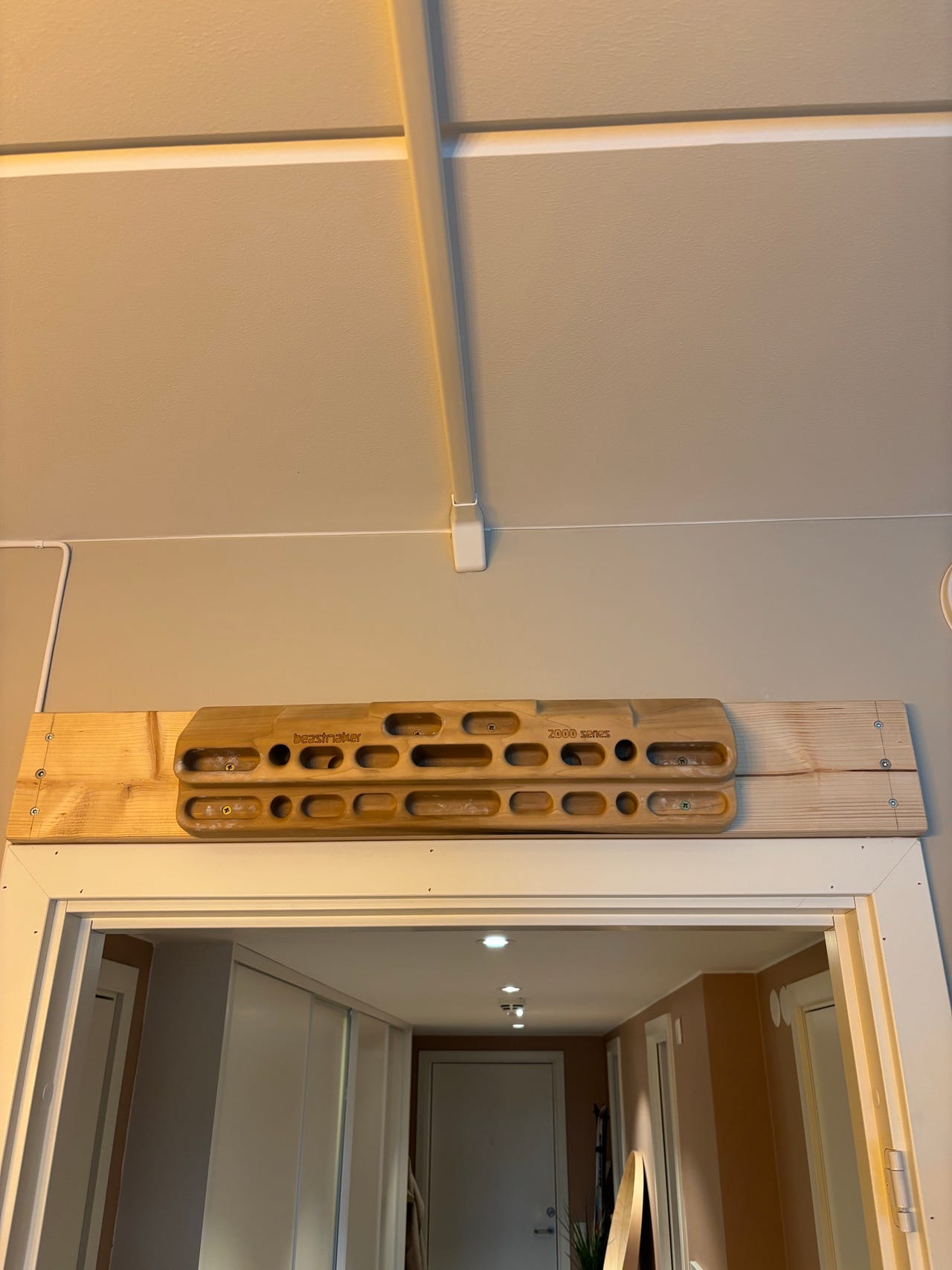 Beastmaker 2000 Series hangboard | FINN-torget