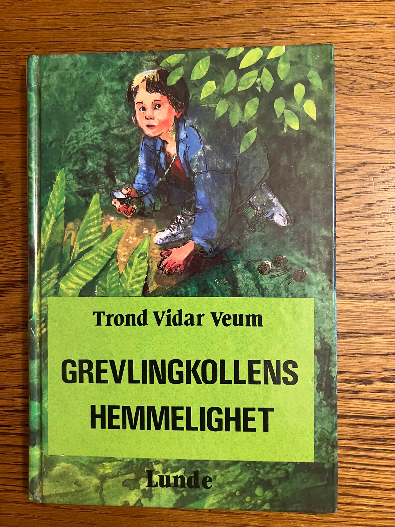 Barnebok «Grevlingkollens hemmelighet» | FINN-torget