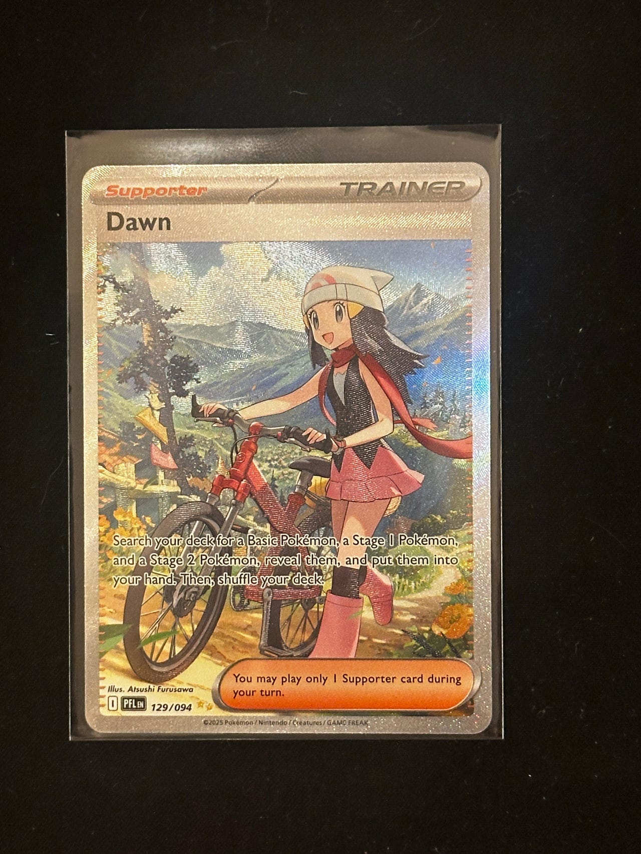 Pokémon Dawn Trainer Kort | FINN-torget