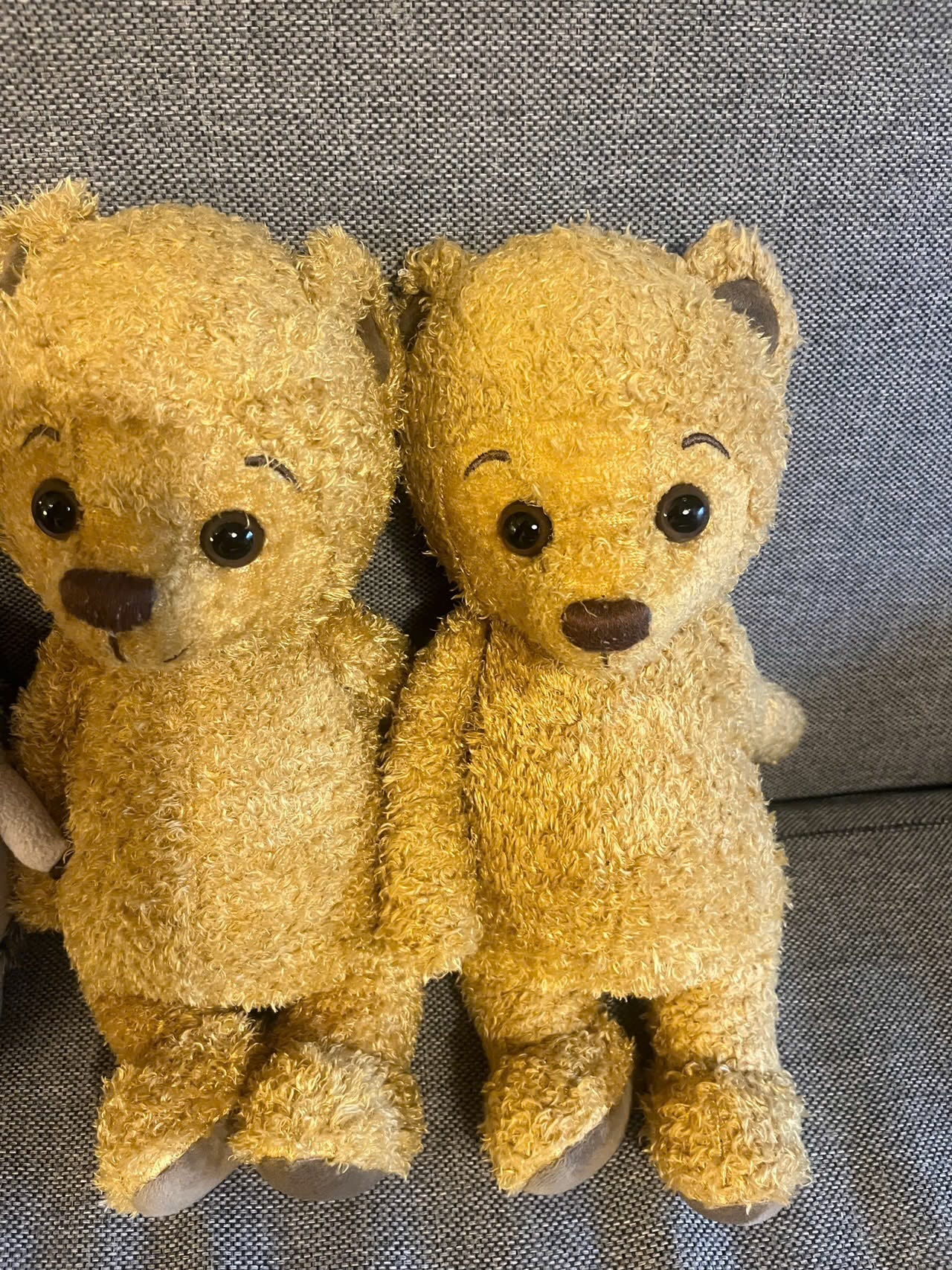 Teddybjørnens jul bamse Teddy | FINN-torget