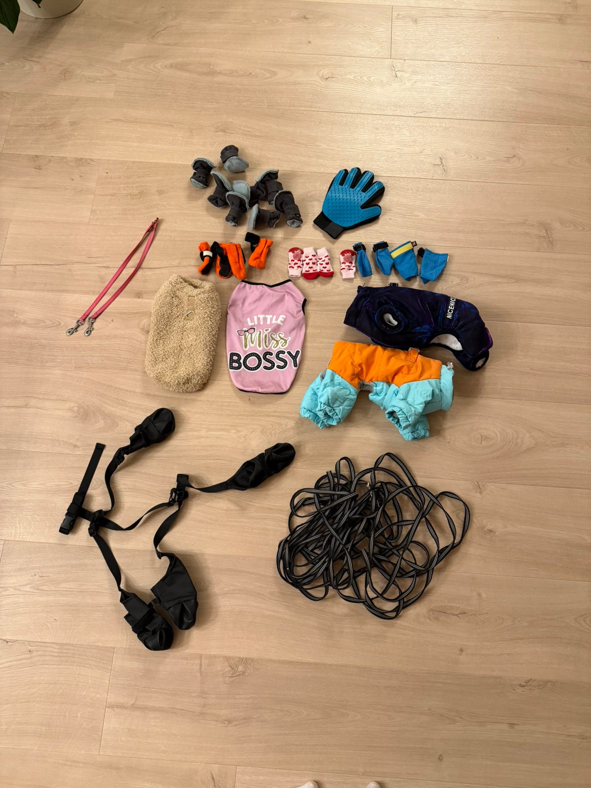 Diverse hunde utstyr | FINN-torget