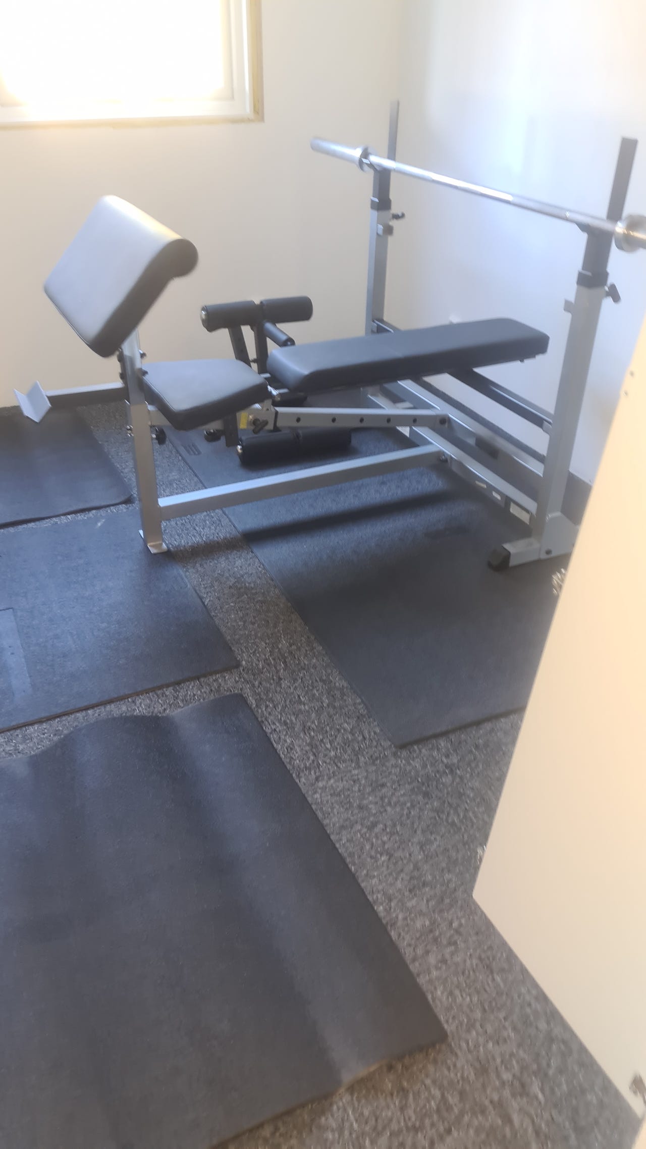 Matter til trening fra Abilica ei kjempestor å tre vanlig store | FINN ...
