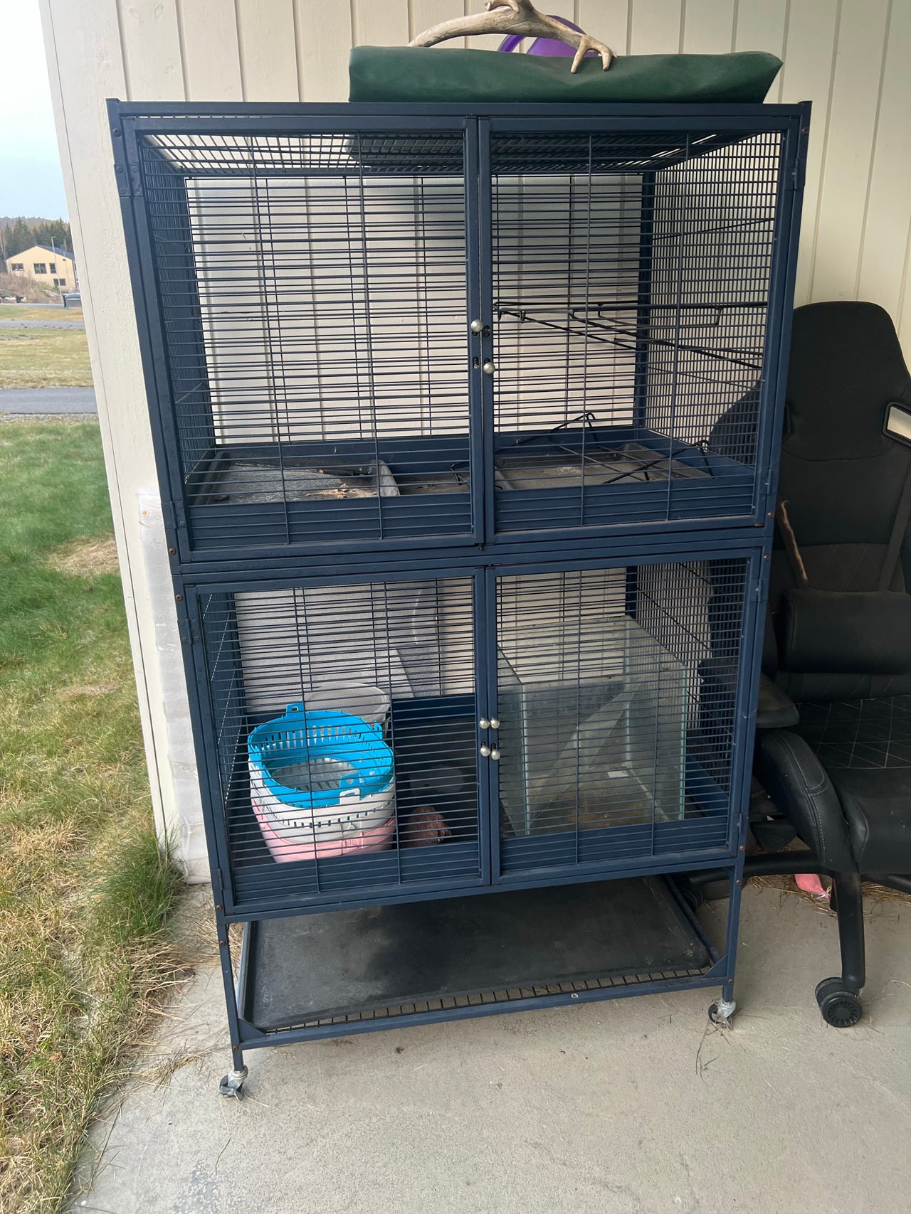 Godt brukt suit royal rotte bur gis bort | FINN-torget