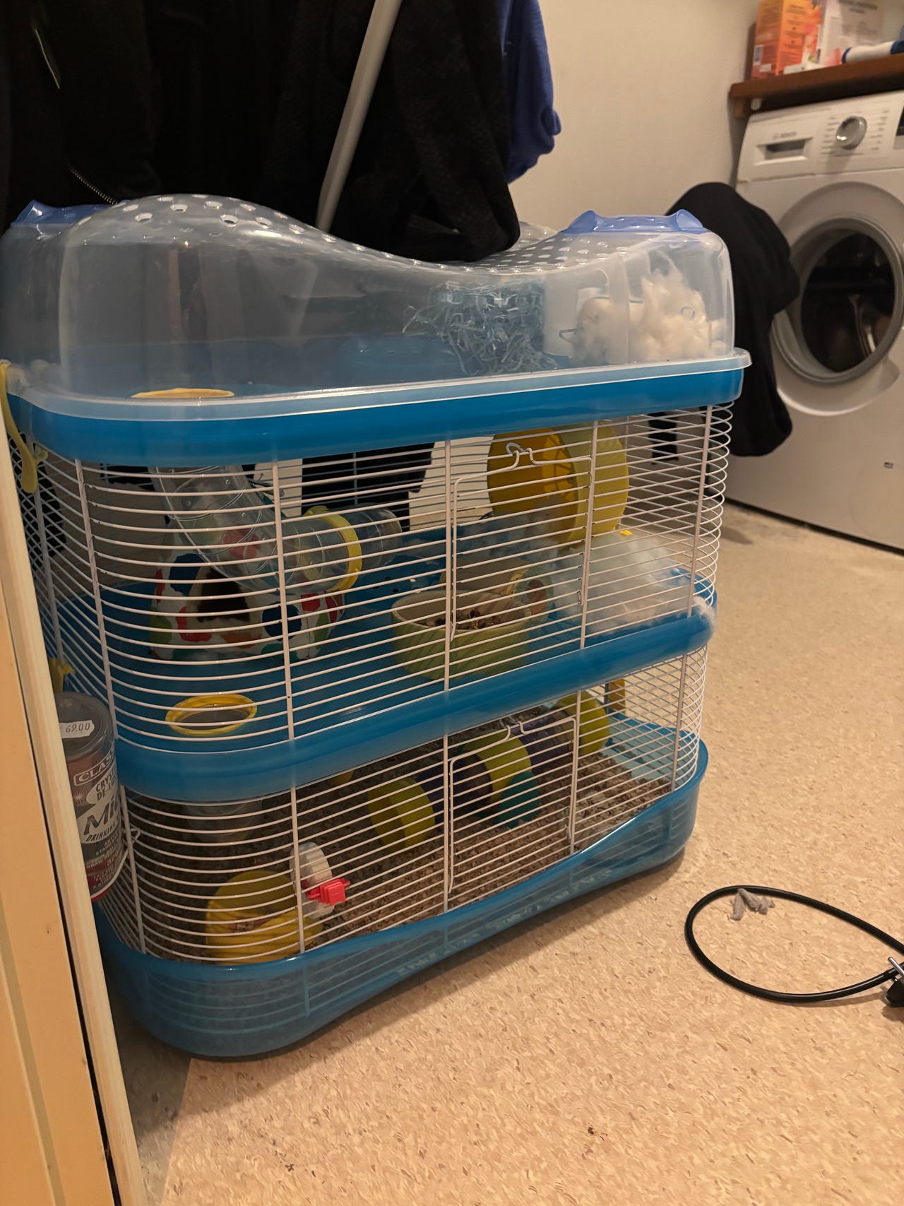 Hamster bur selges | FINN-torget