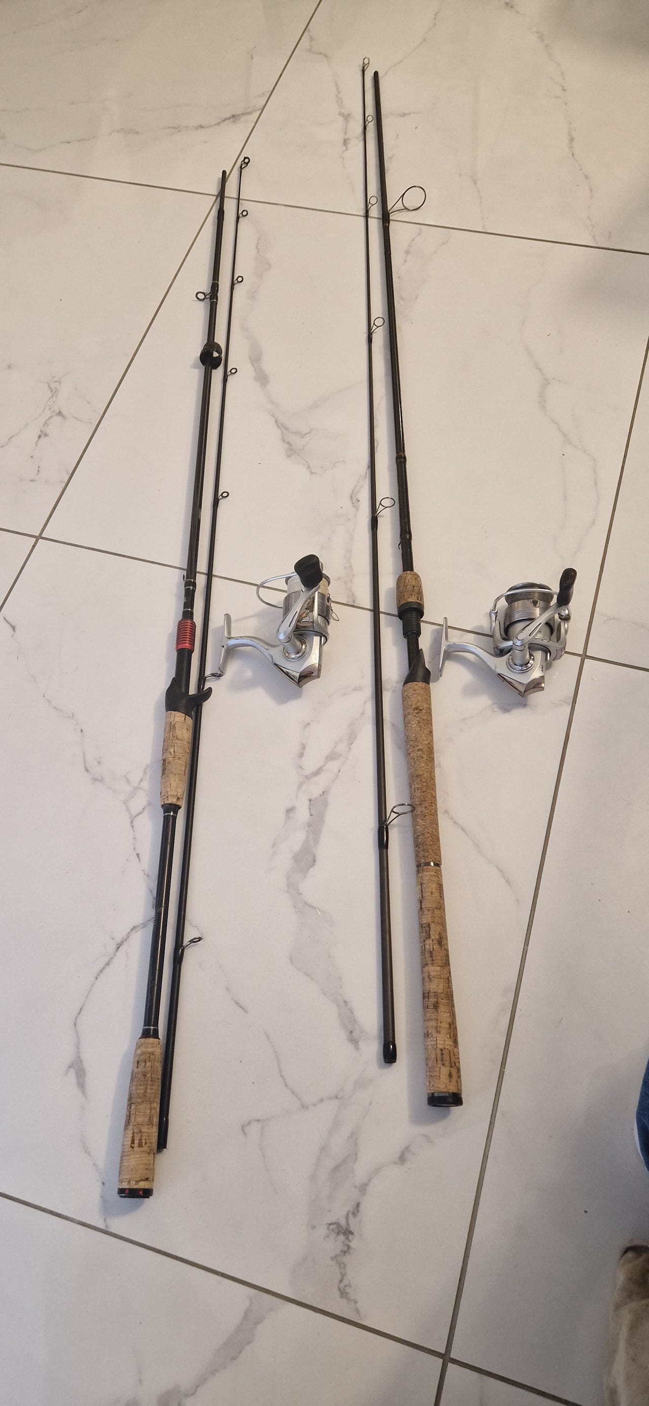 2 stk fiskestenger | FINN-torget