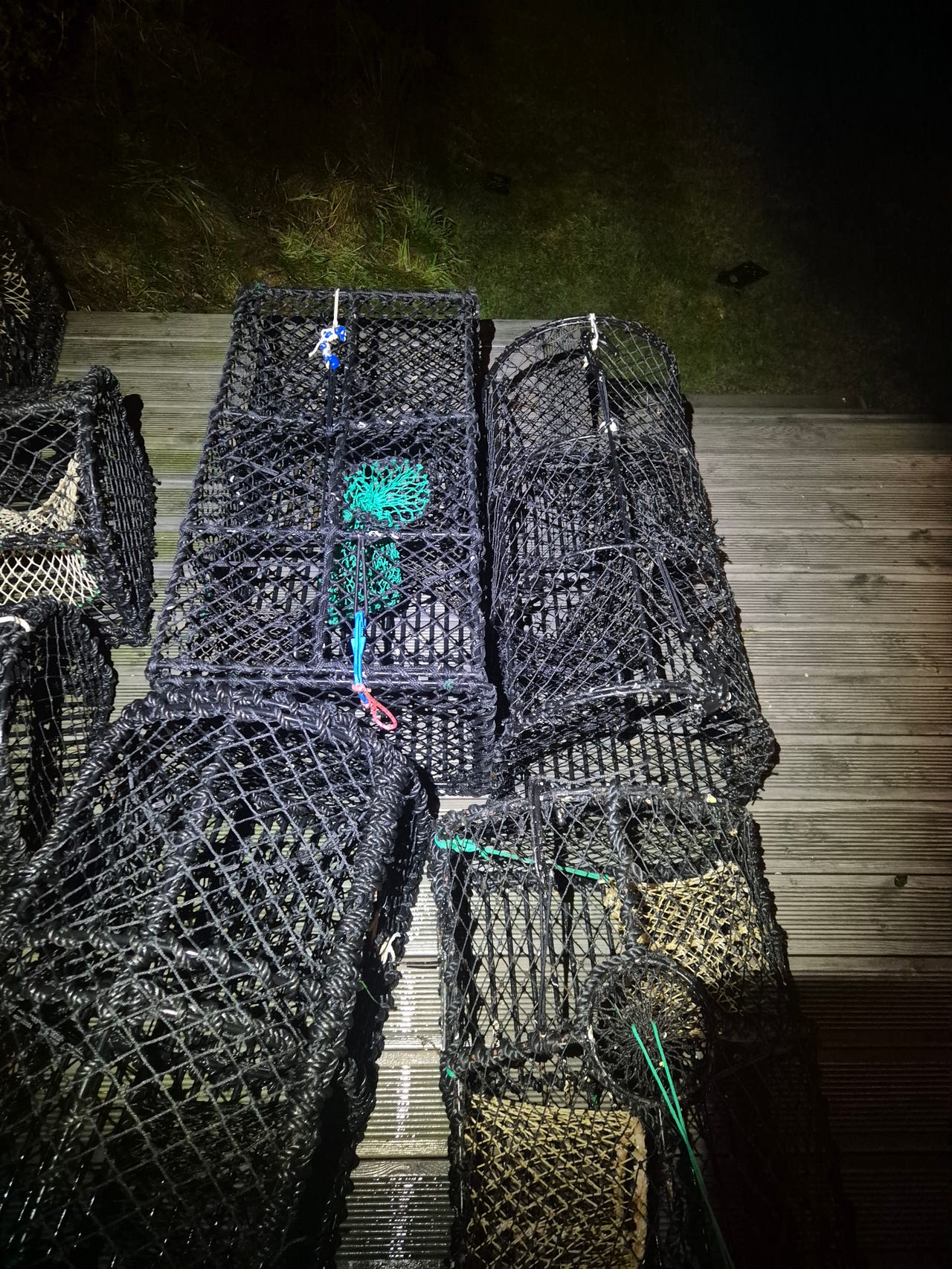 Scotteteiner / hummerteiner / krabbeteiner | FINN-torget