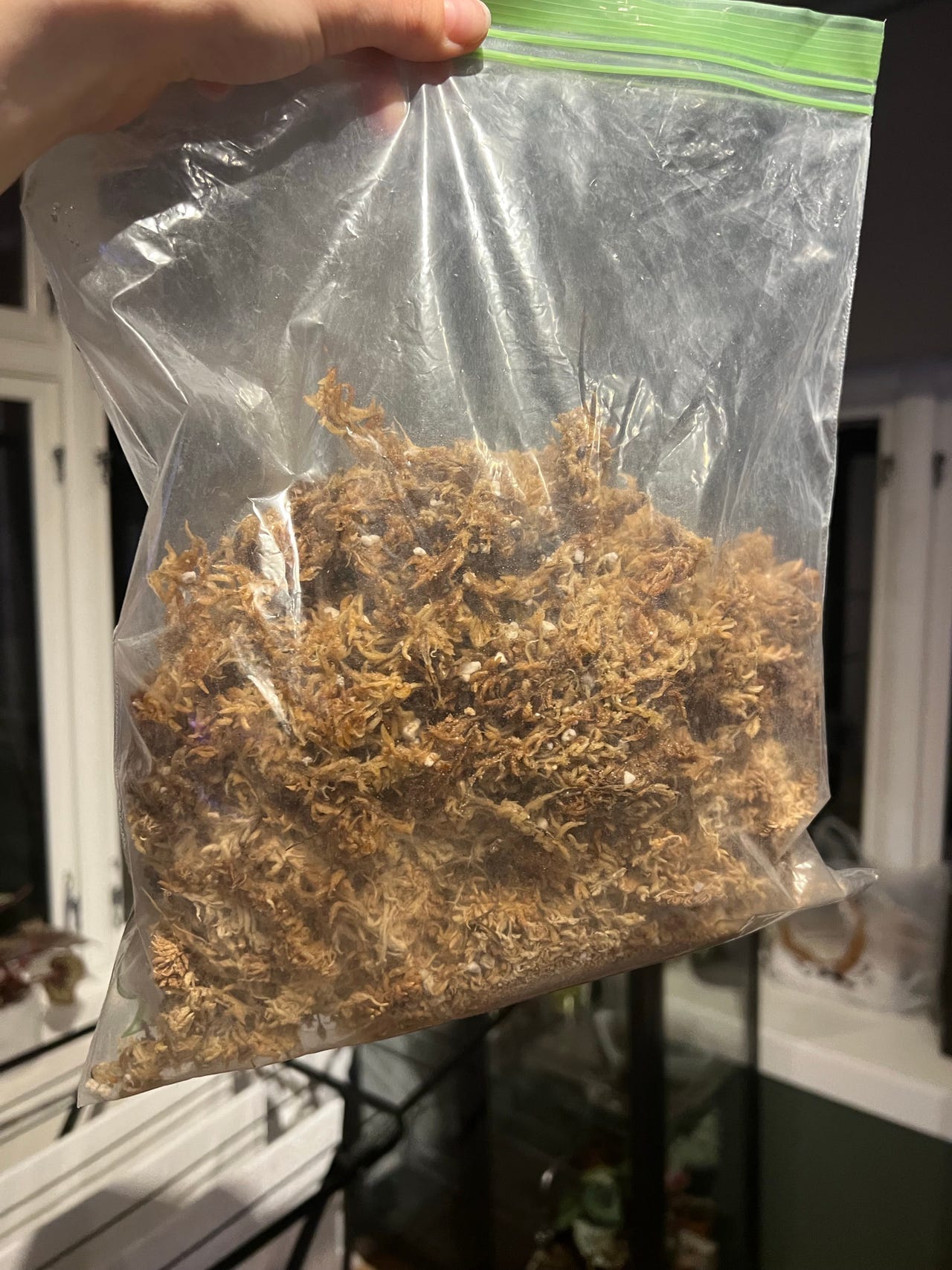 Moss for planter | FINN-torget