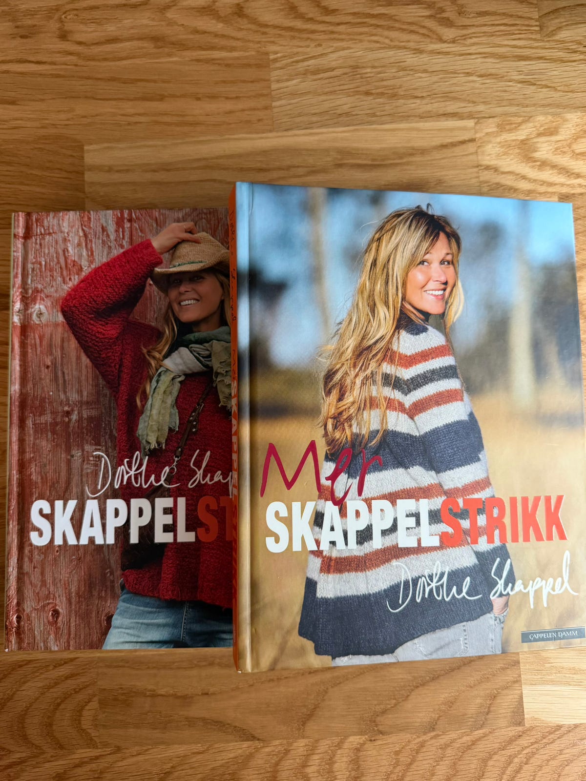 Pent brukte bøker: «Skappelstrikk» og «Mer Skappelstrikk» av Dorthe ...