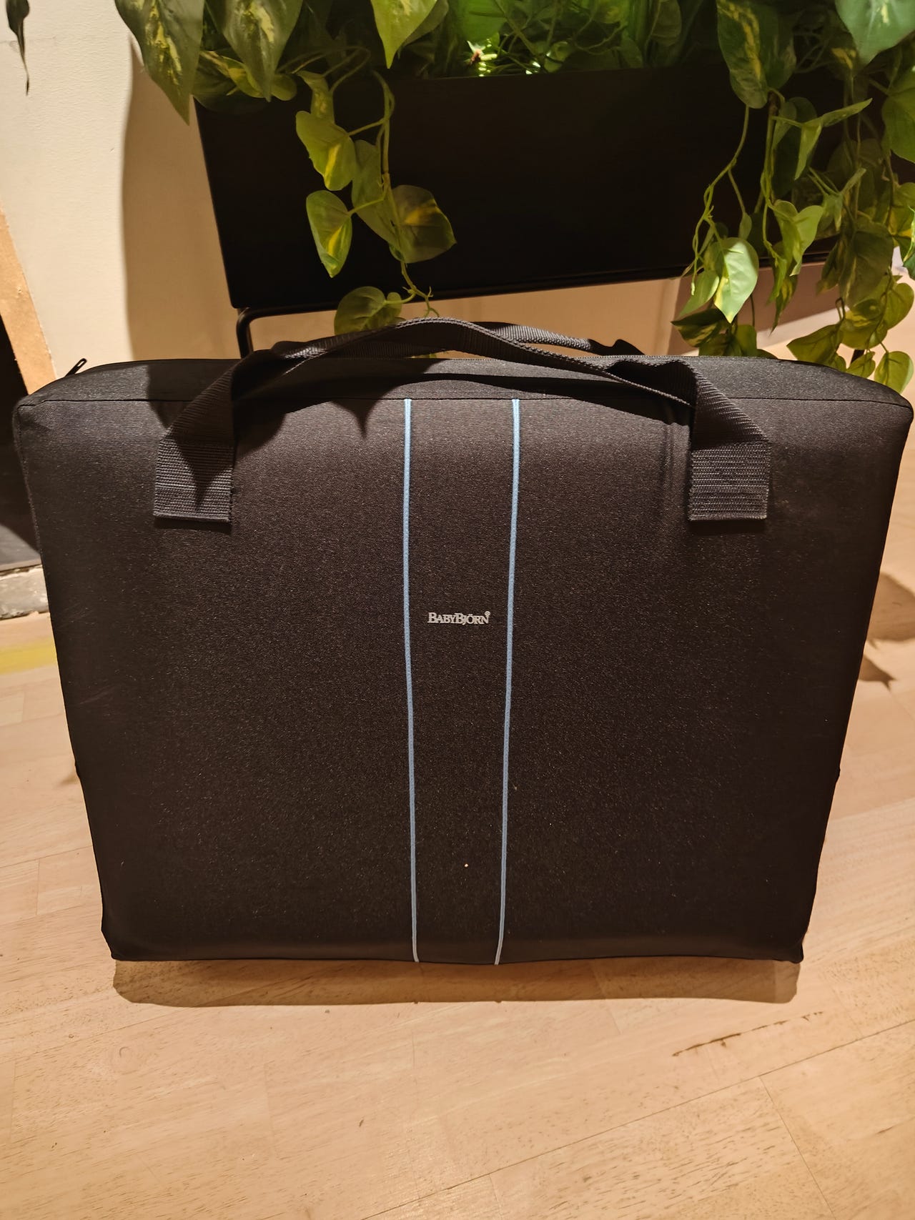 Baby Bjørn reiseseng | FINN-torget