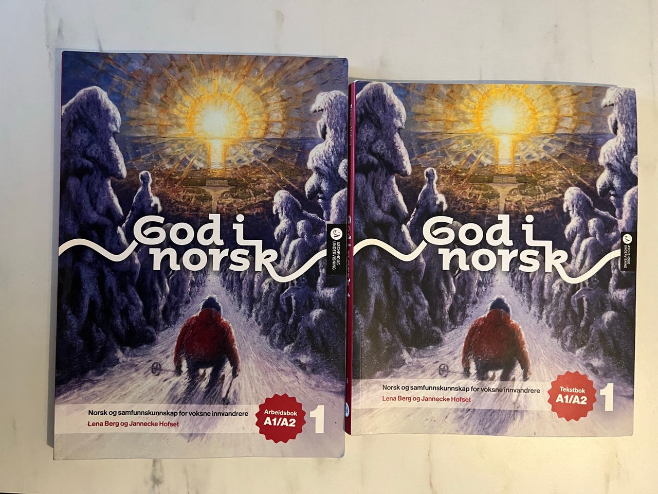 God i norsk 1. Tekstbok og arbeidsbok | FINN-torget