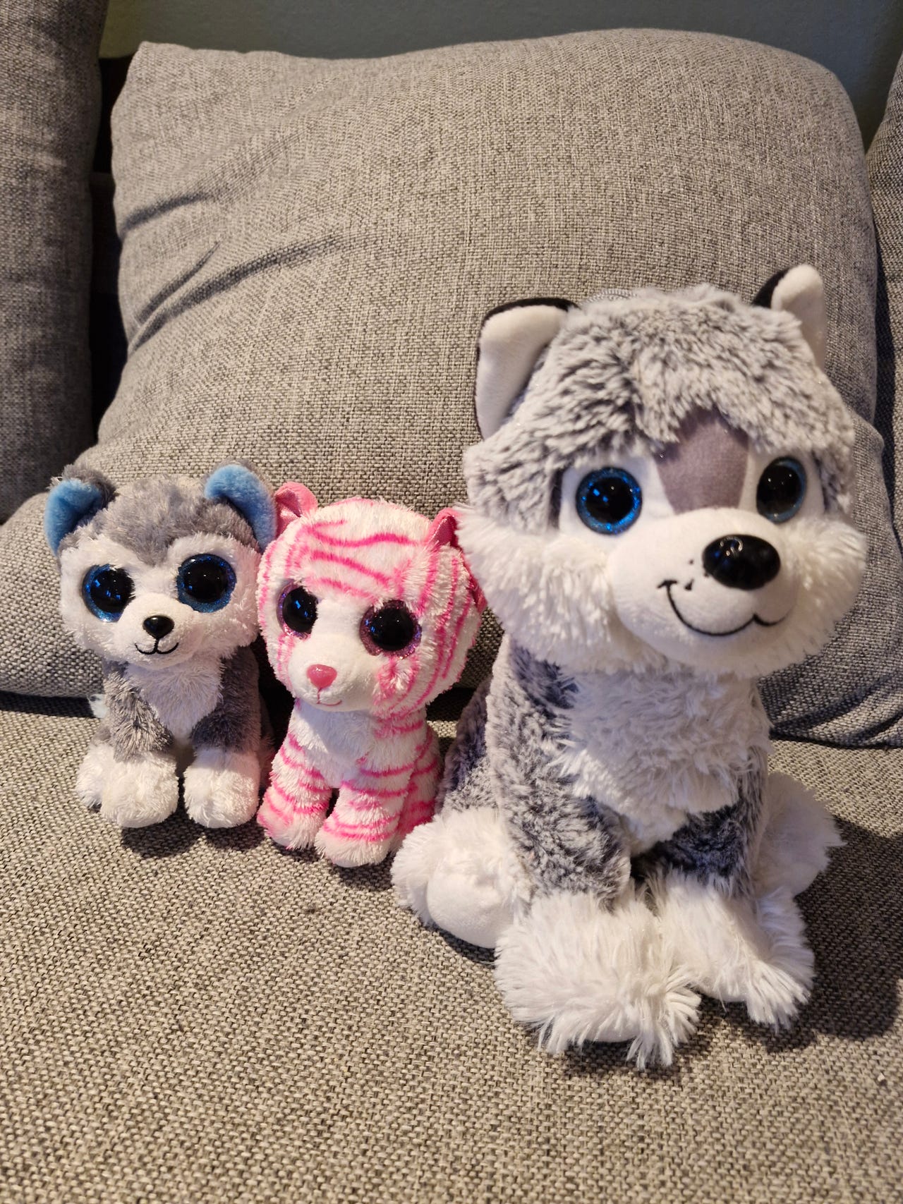 Pene ty bamser selges | FINN-torget