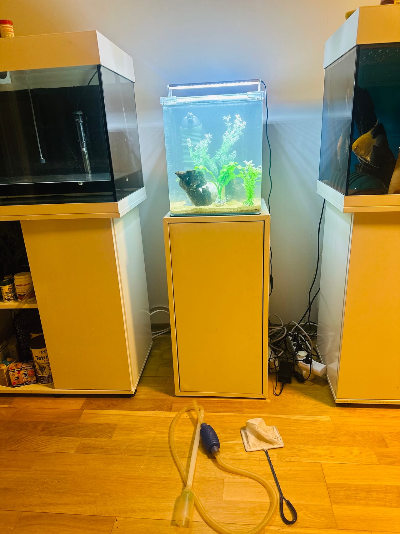 Akvarium 30 liter komplett | FINN-torget