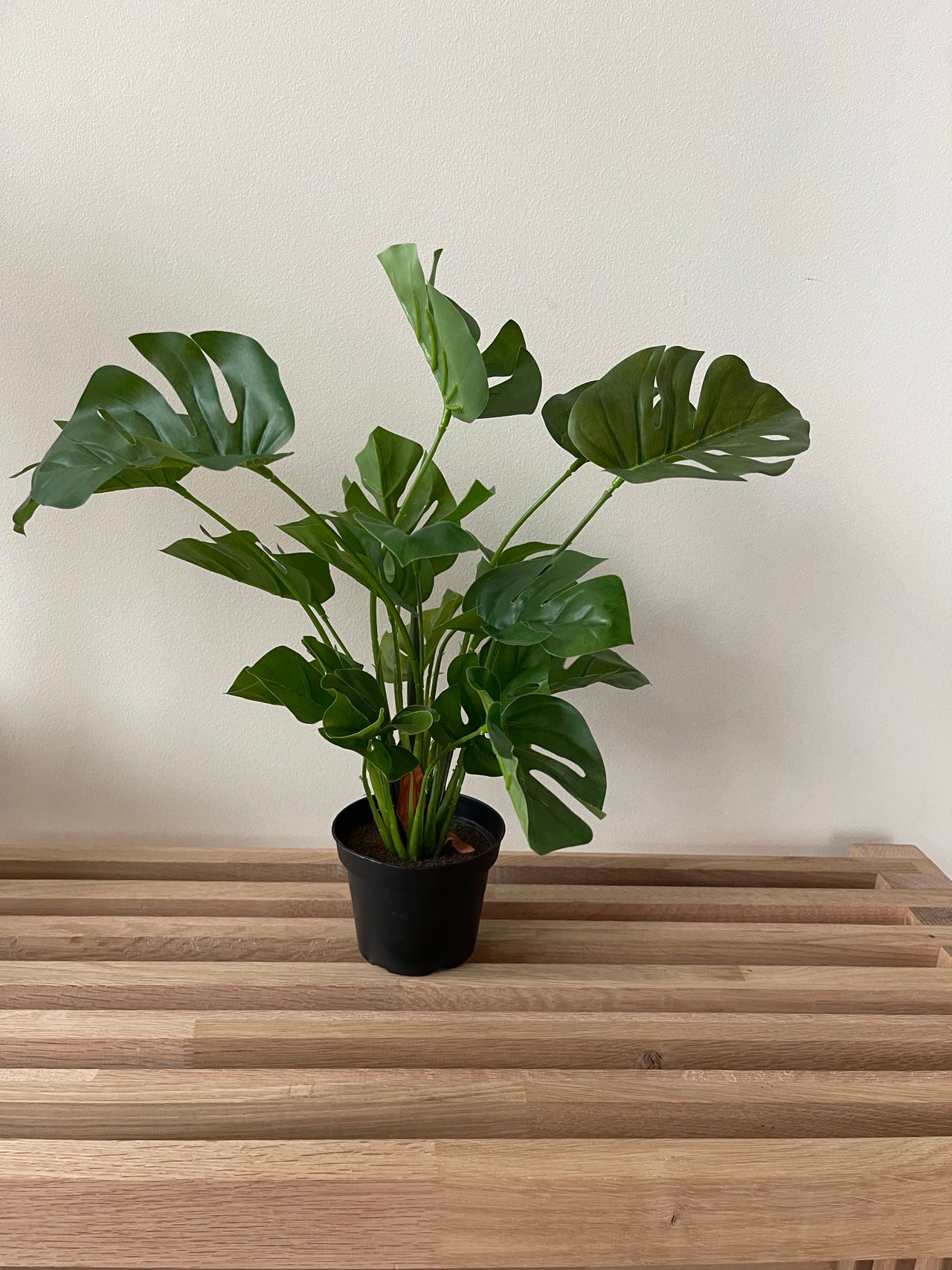 Monstera og liten palme kunstig. | FINN-torget