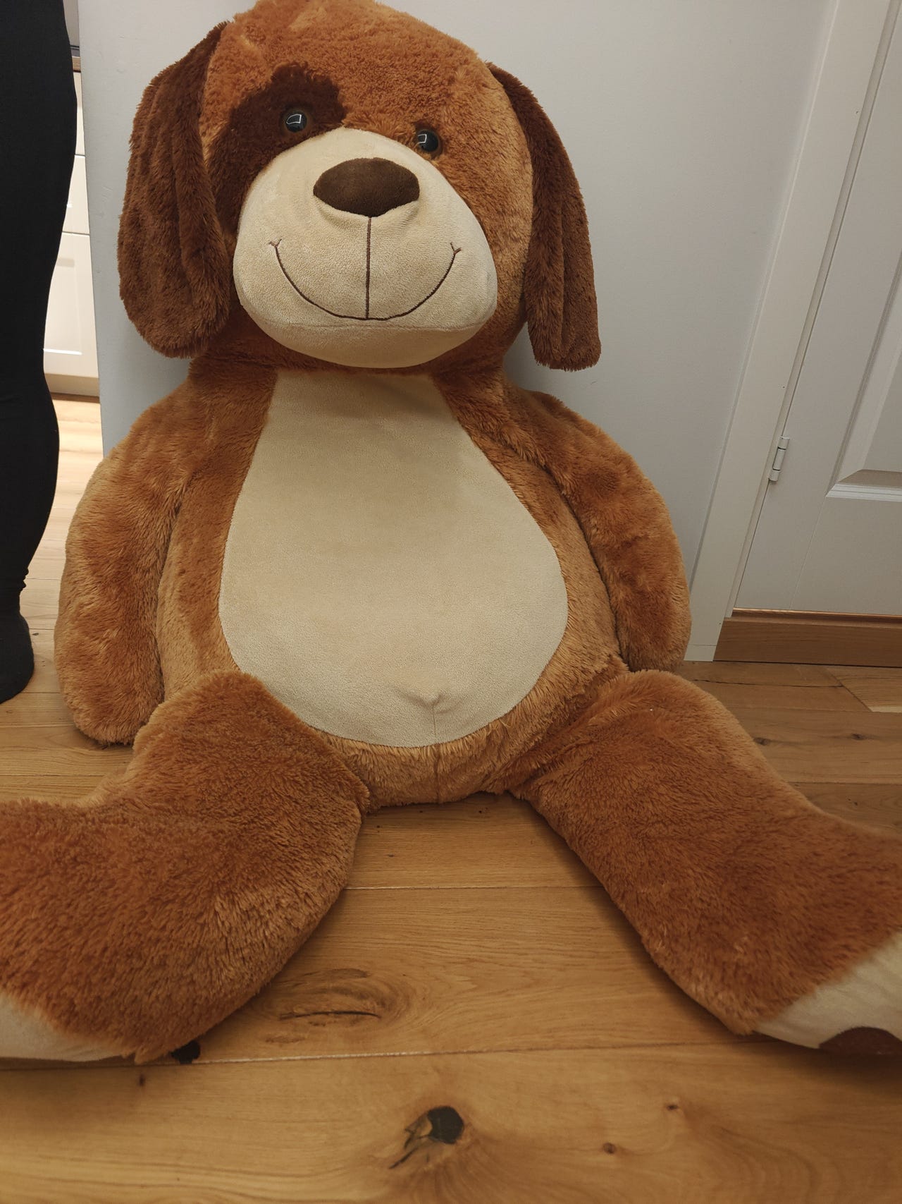 Simba ønsker nytt hjem | FINN-torget