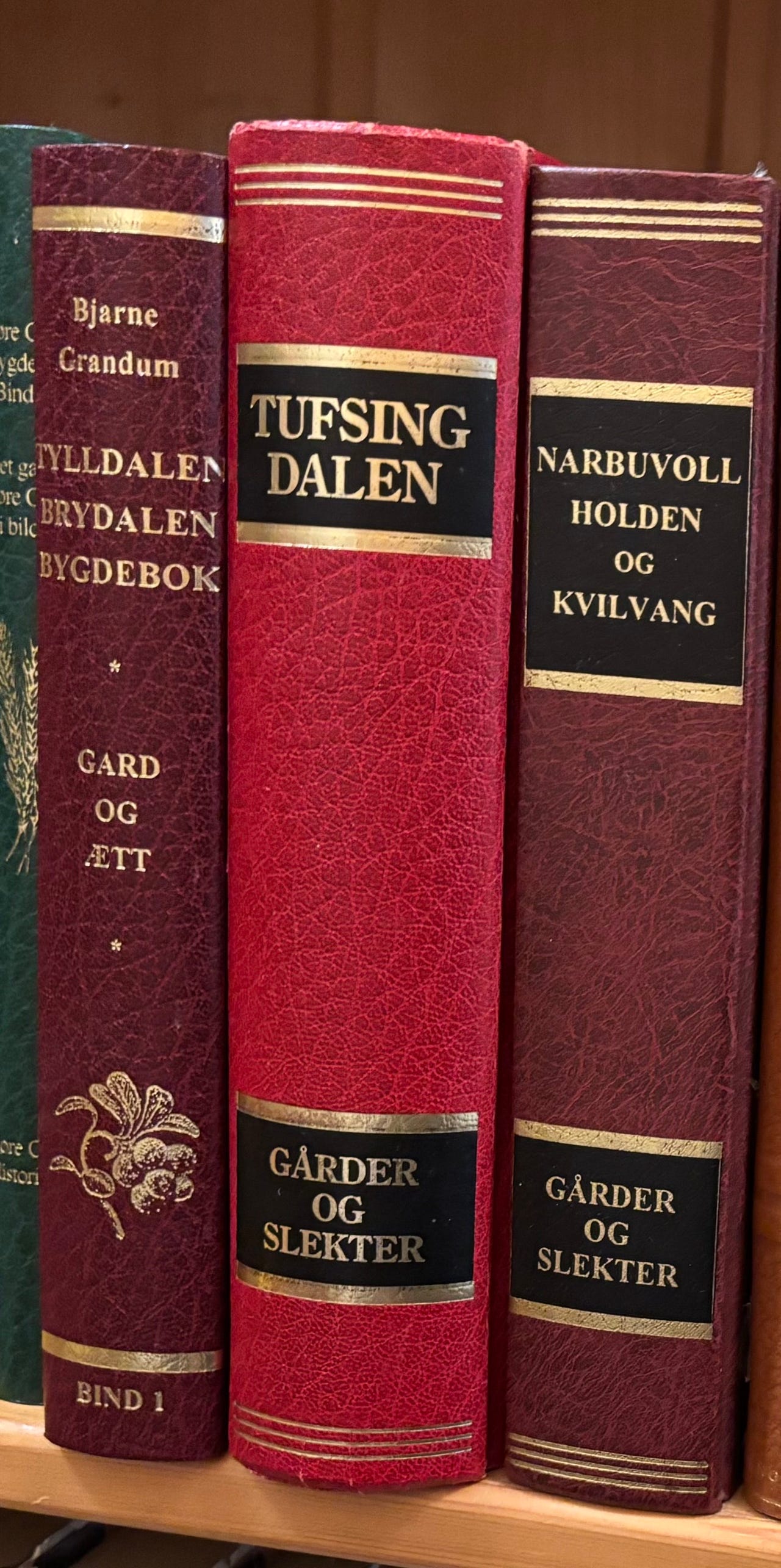 Tufsingdalen, Tylldalen og Brydalen, Nabbursvoll og Holden Gårder og ...
