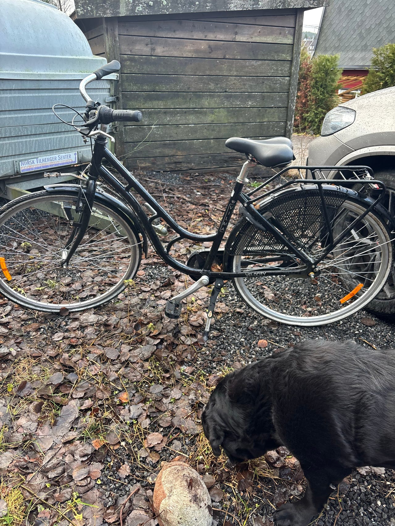 DBS Bysykkel Dame svart | FINN-torget