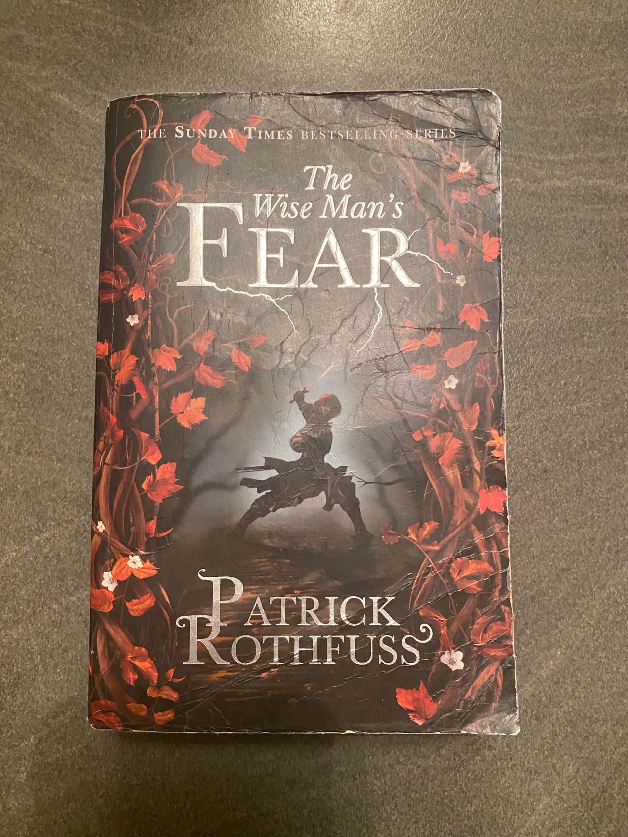 The Wise Man’s Fear (Patrick Rothfuss) | FINN-torget