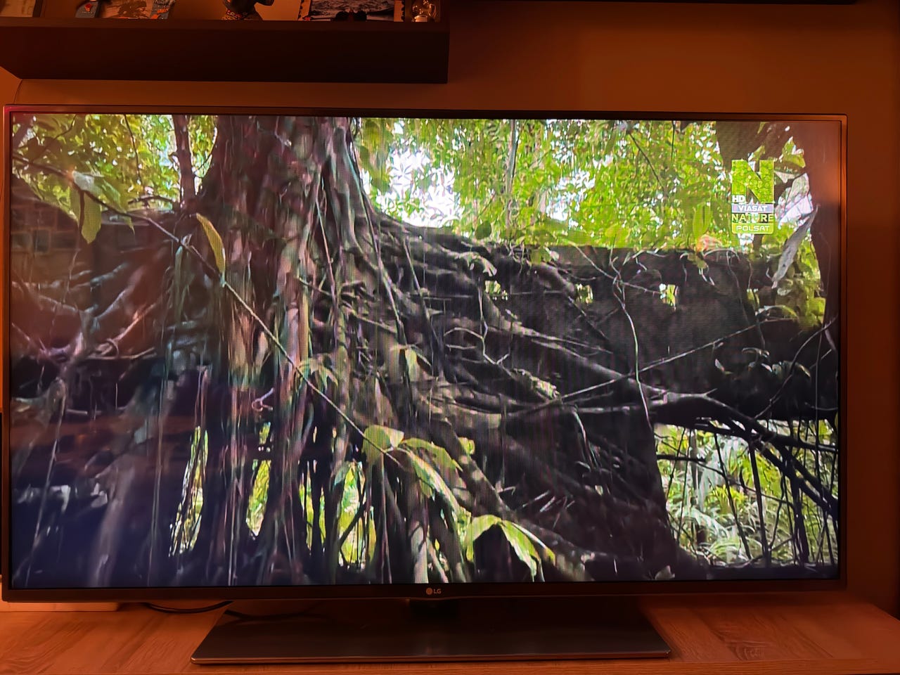 LG 55” (55LF652V) – pen stand, lite brukt | FINN-torget