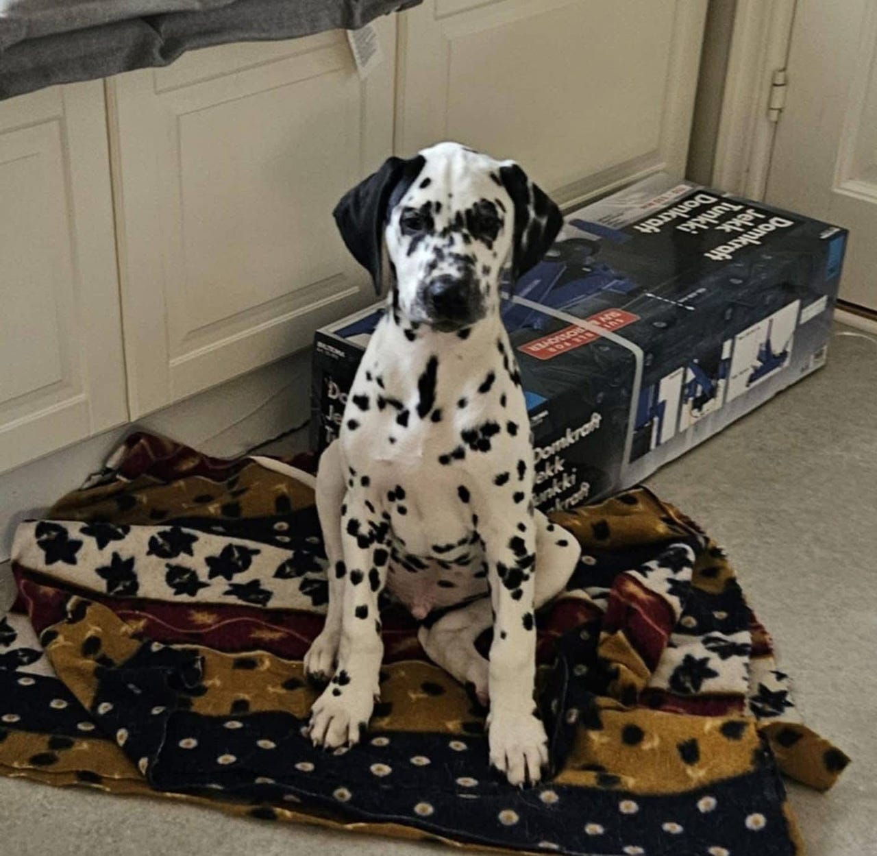 Bestspots First Don Giovanni | FINN-torget