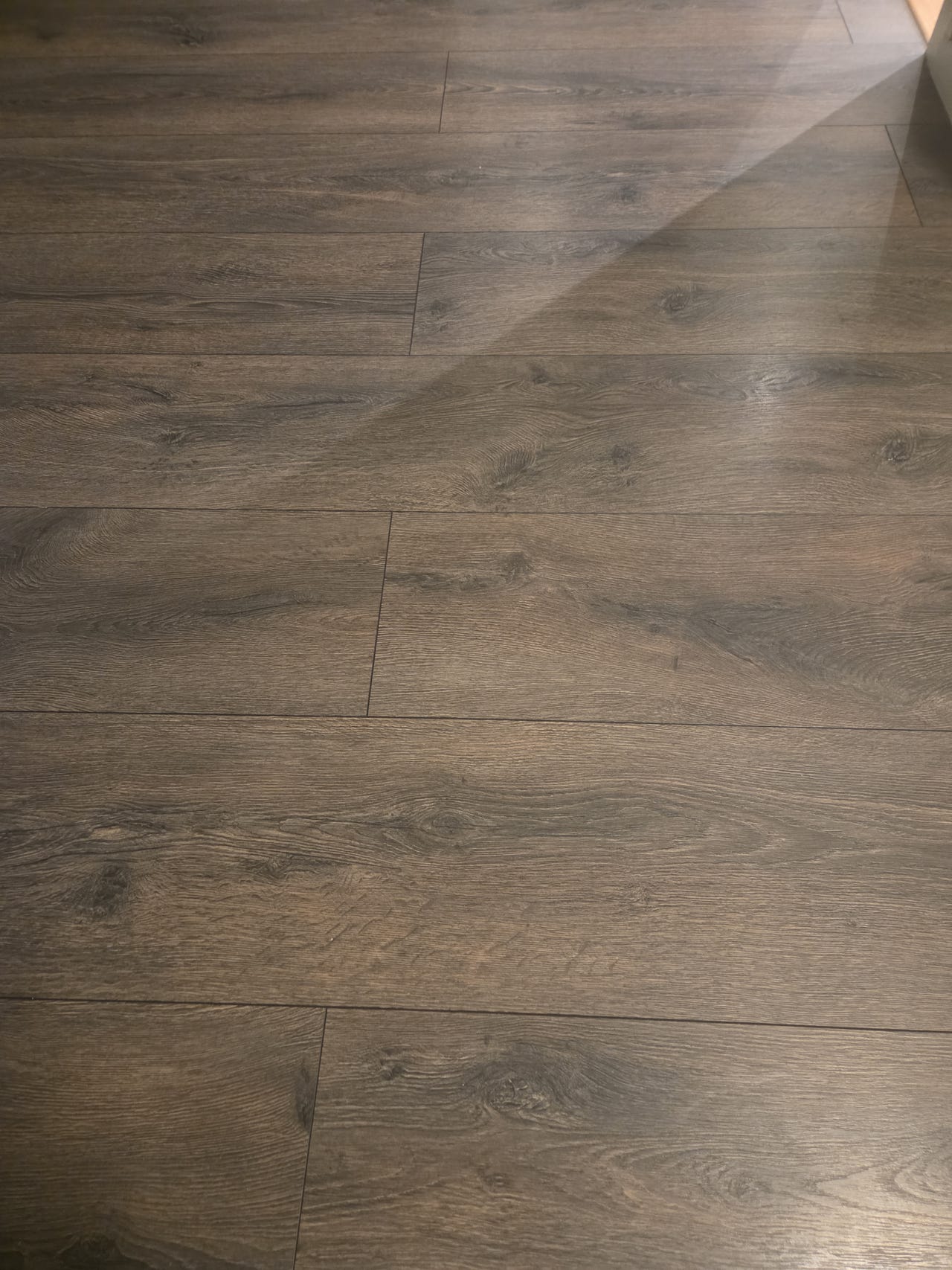 Ønsker å kjøpe Swiss Lazio Oak 10mm Wide og Long Plank laminatgulv ...