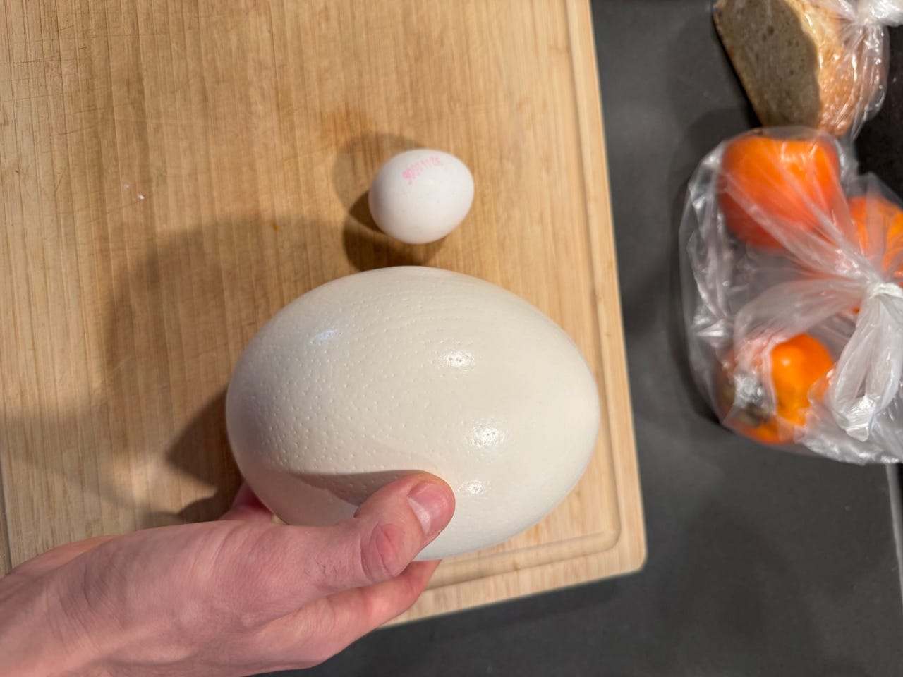 Strutseegg | FINN-torget