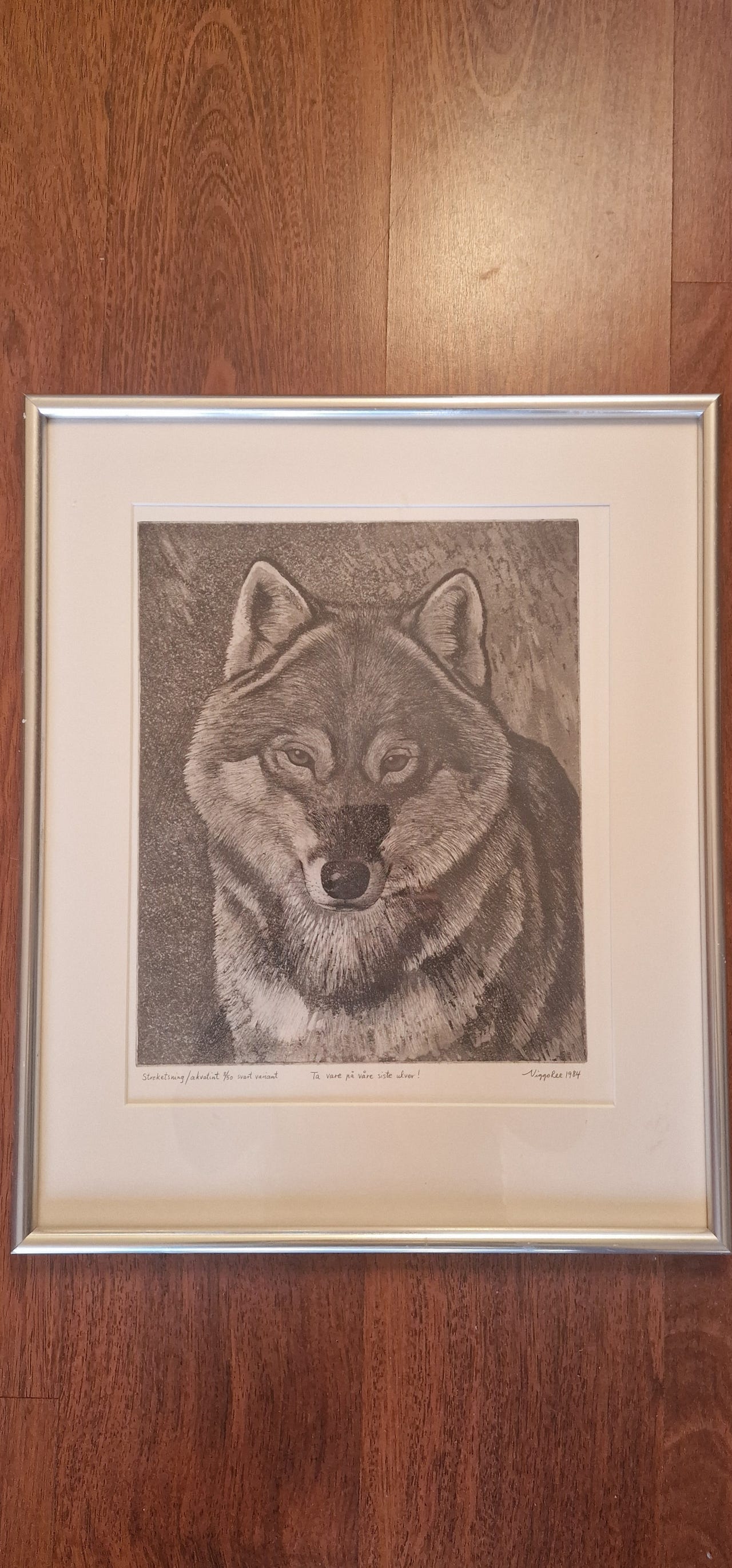 Ulvebilde av Viggo Ree | FINN-torget