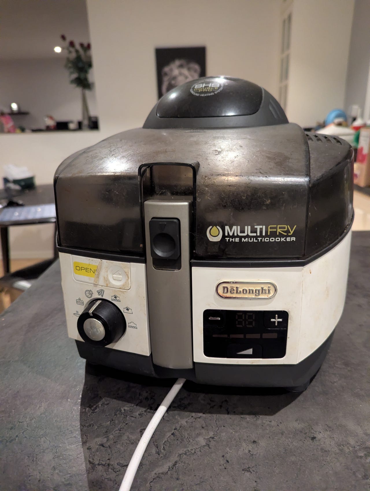 DeLonghi MultiFry SF 1000 Multicooker | FINN-torget