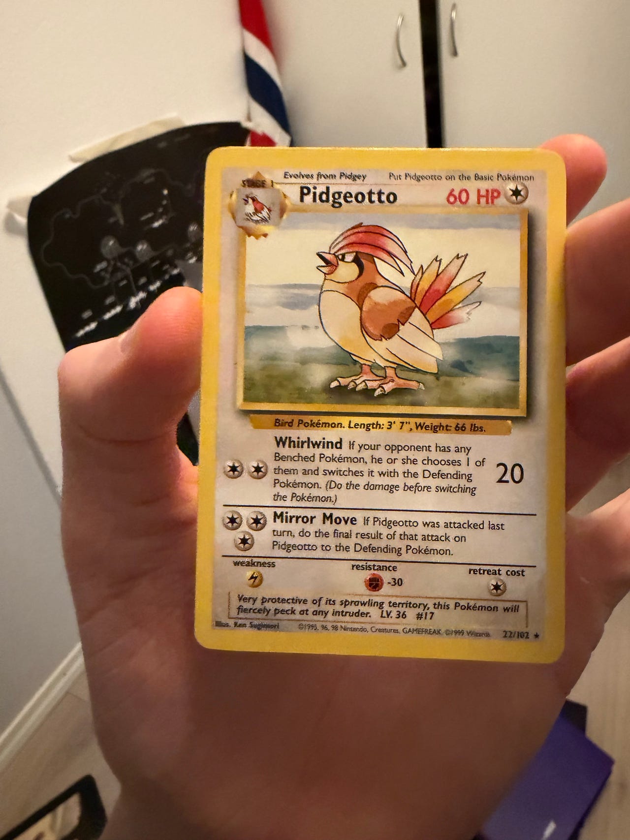 Pokemon kort Pidgeotto 22/102 Rare Unlimited | FINN-torget