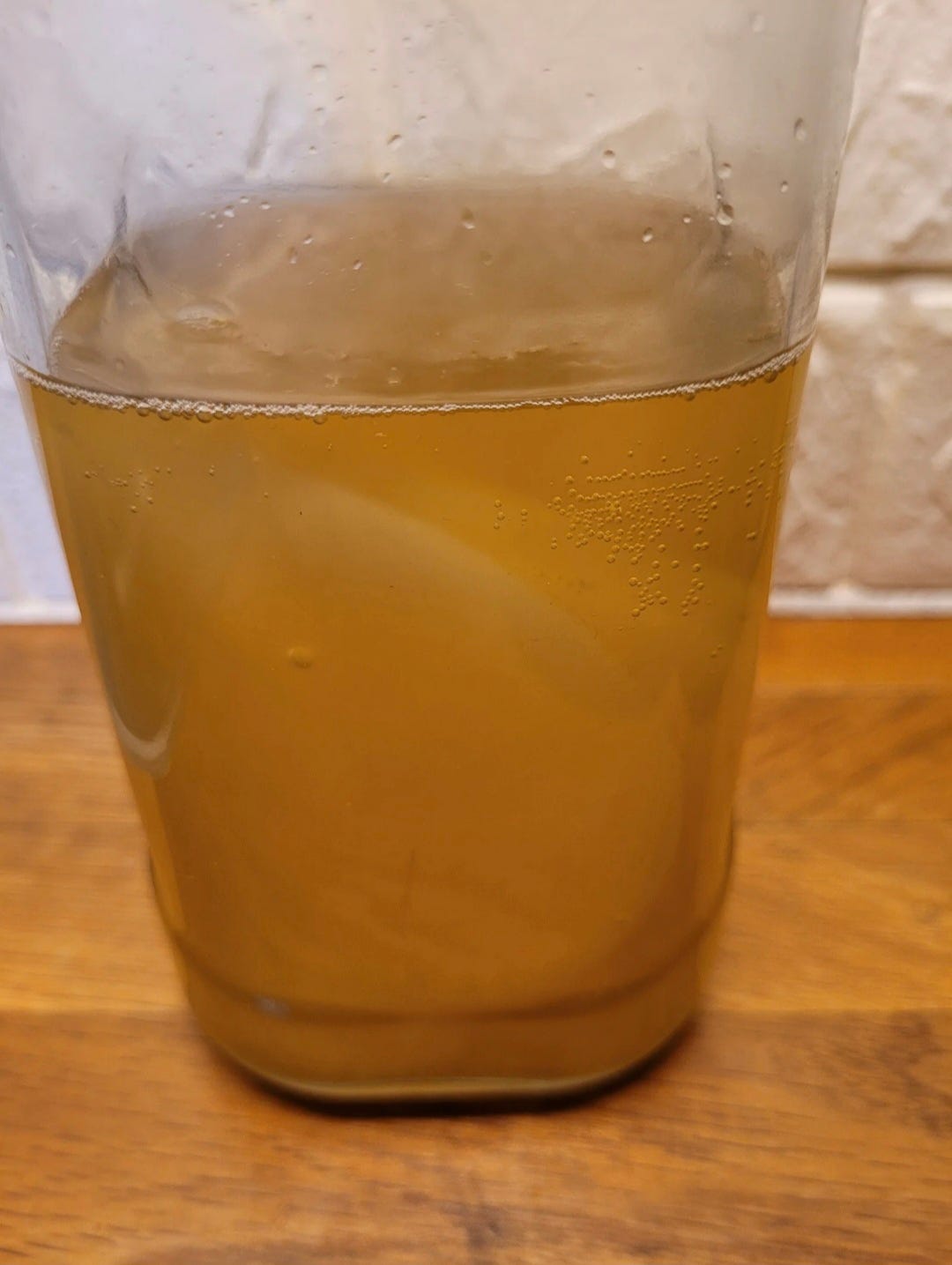 Økologisk scoby til Kombucha | FINN-torget
