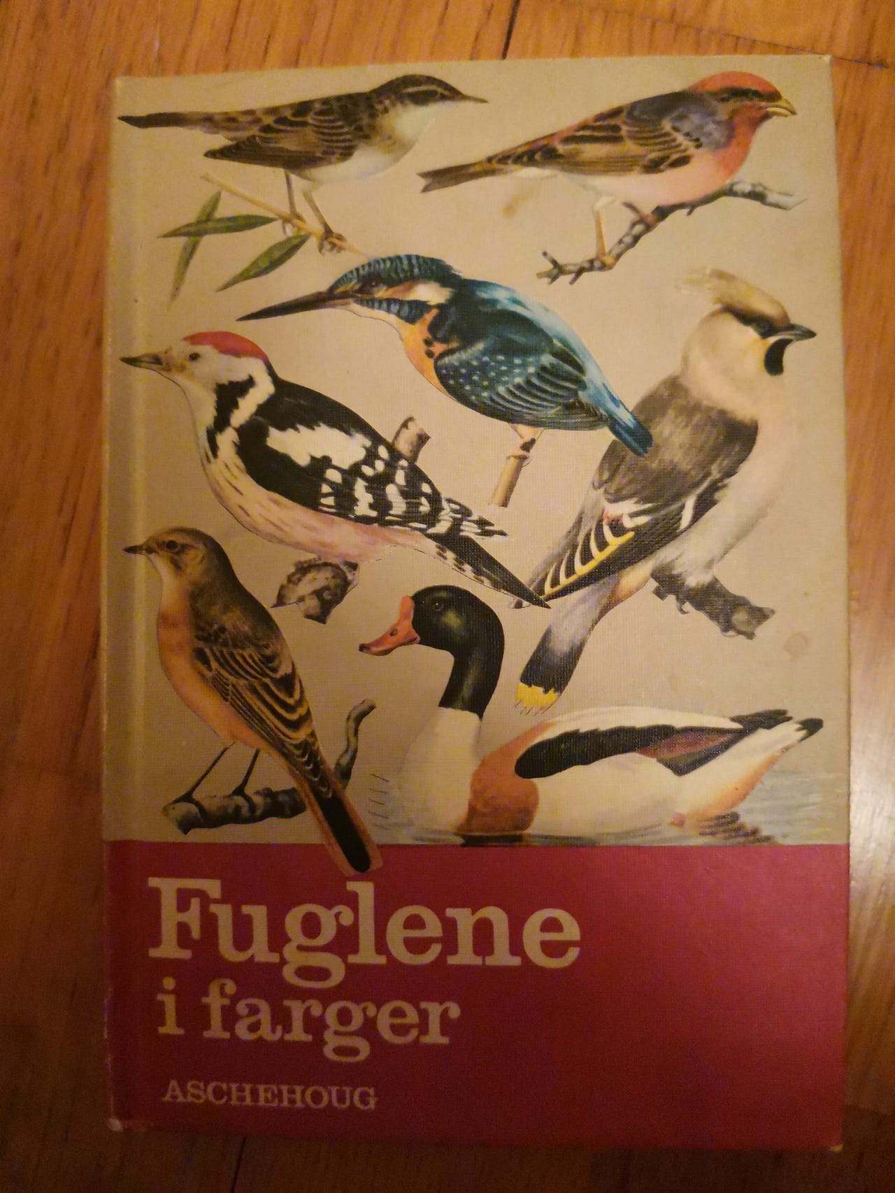 Fuglene I farger 1976 | FINN-torget