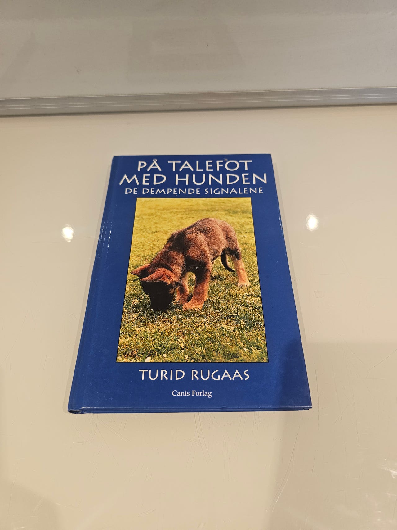 På talefot med hunden: De dempende signalene. Turid Rugaas | FINN-torget