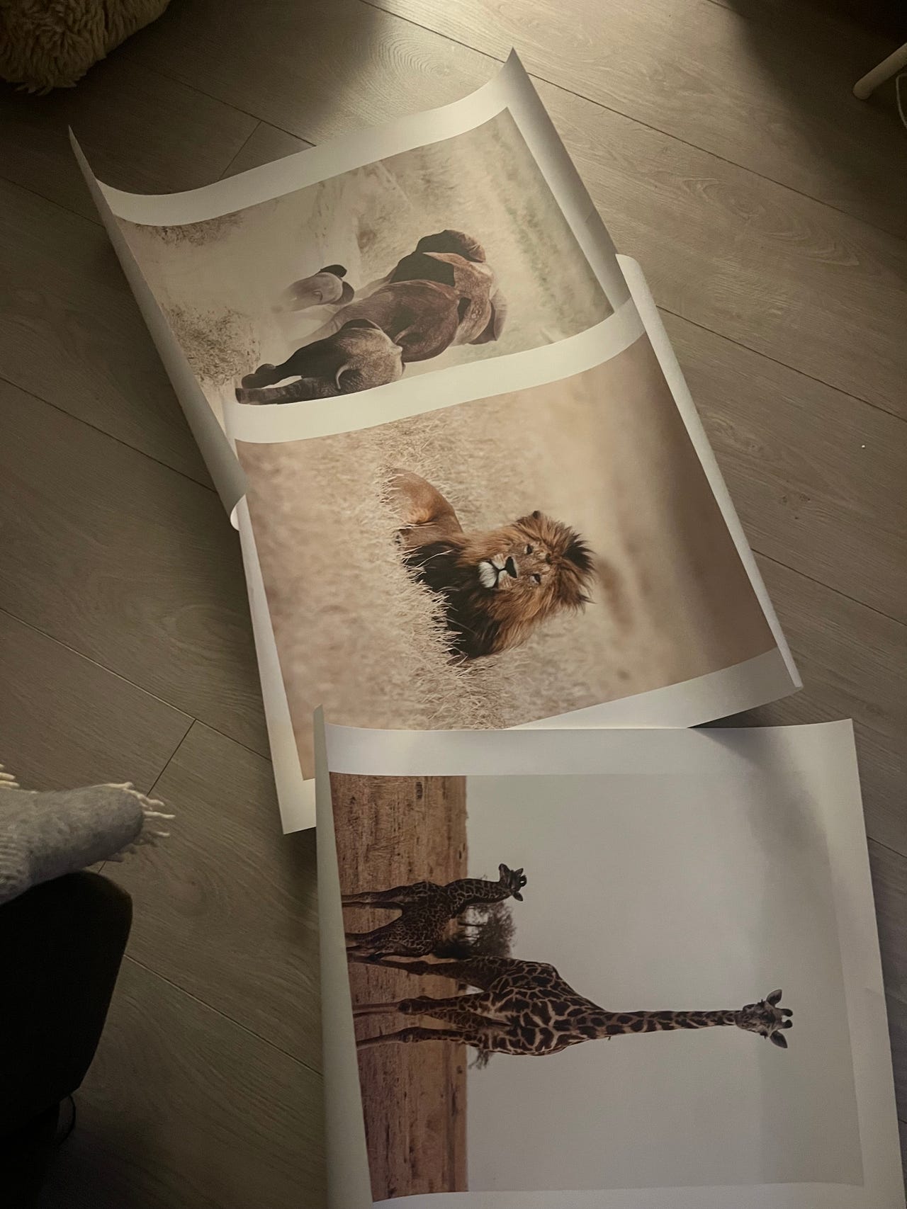 3 plakater/bilder fra Desenio | FINN-torget