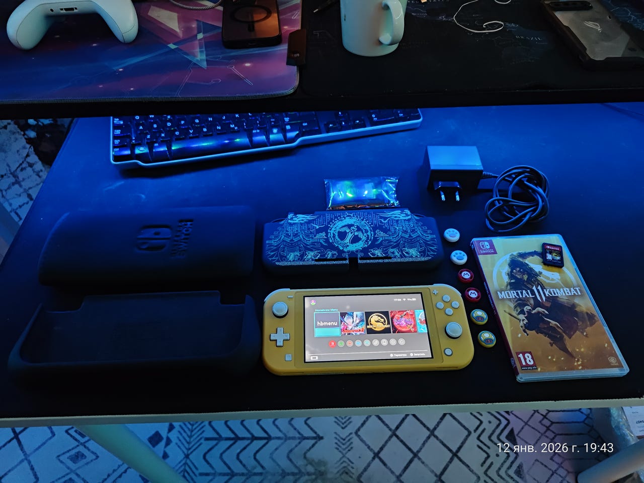 Nintendo Switch Lite (mod) | FINN-torget