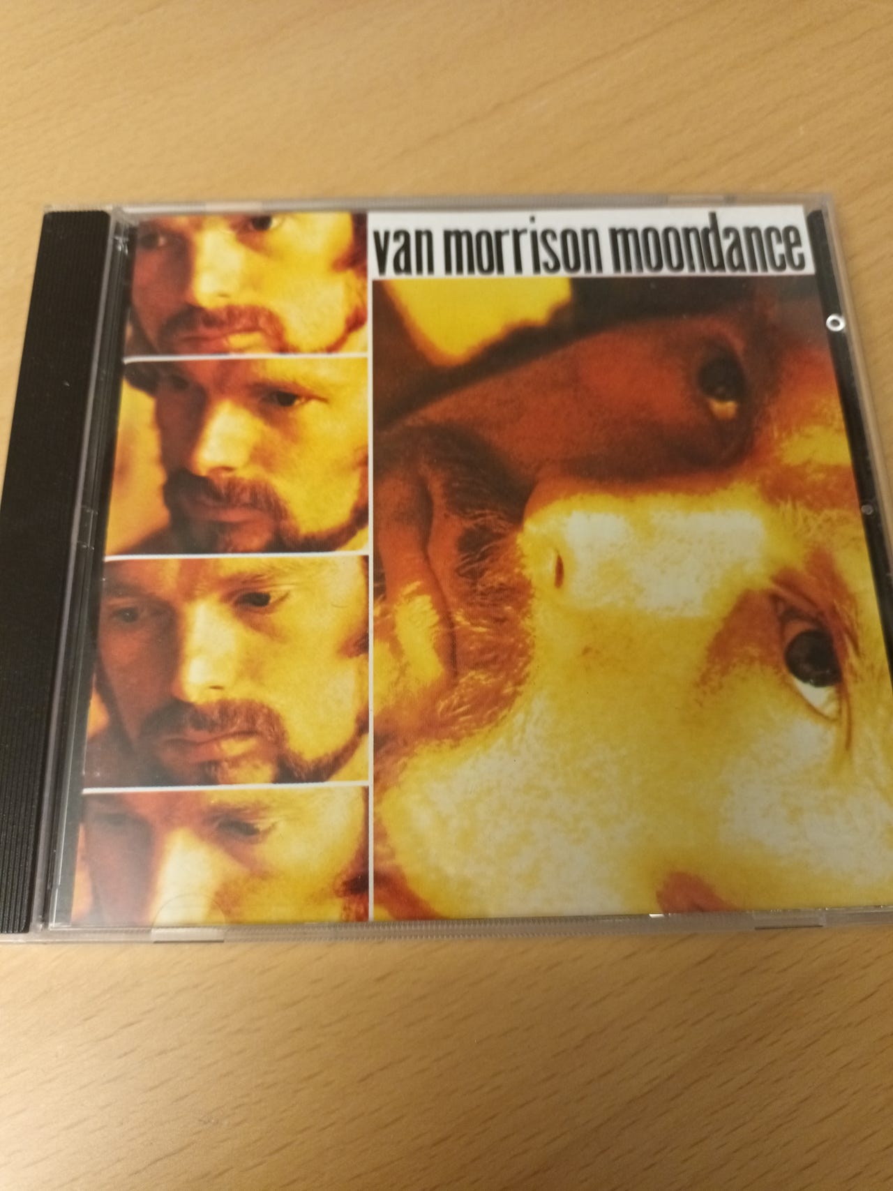 Van Morrison - Moondance | FINN-torget
