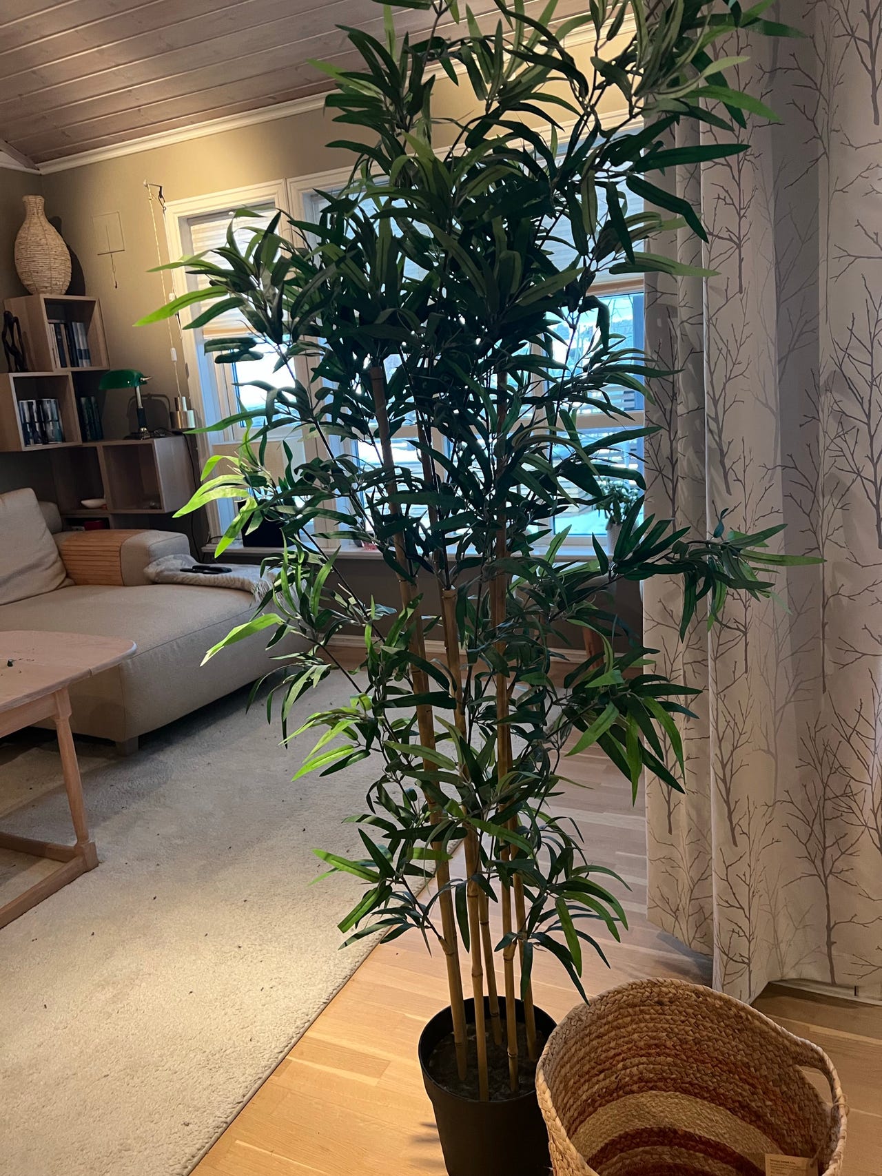 IKEA FEJKA kunstig bambusplante med eller uten potte | FINN-torget