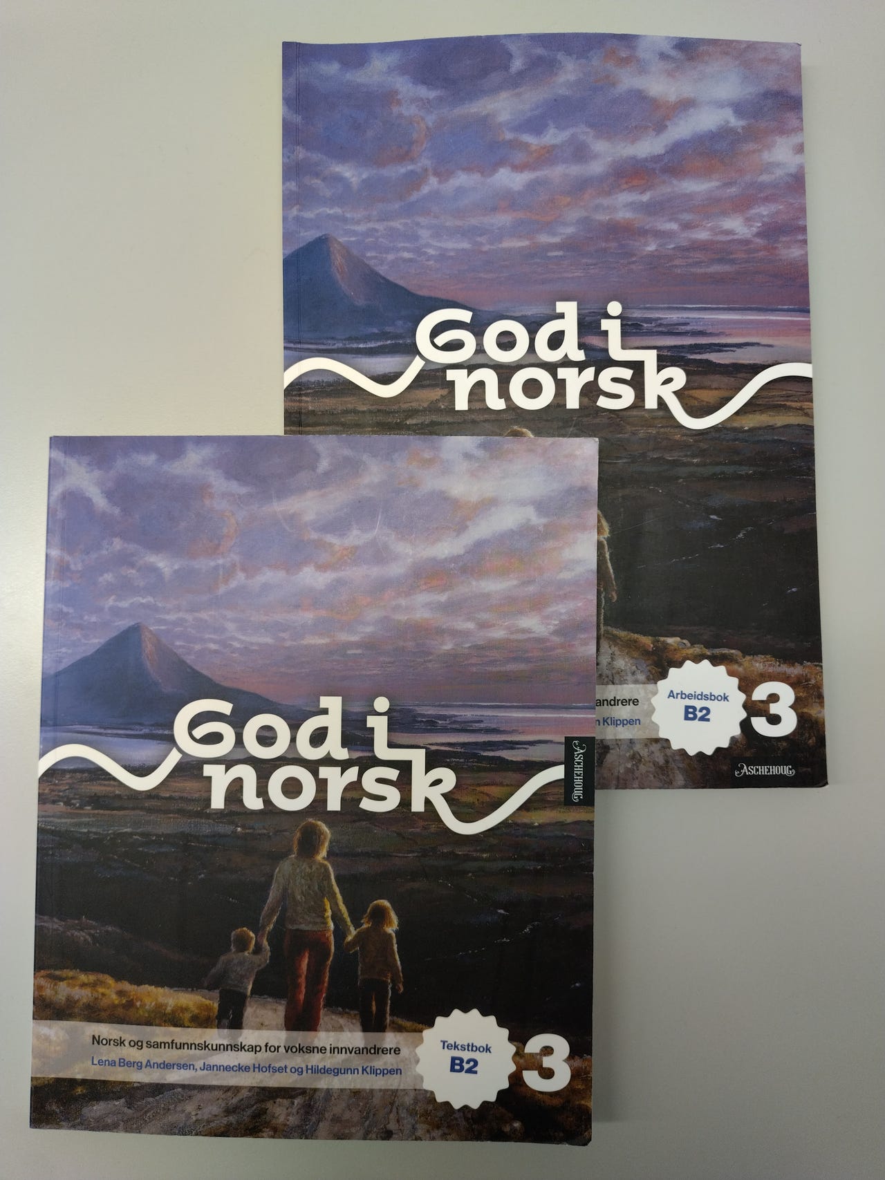 God i norsk 3 tekstbok og arbeidsbok, nivå B2 | FINN-torget