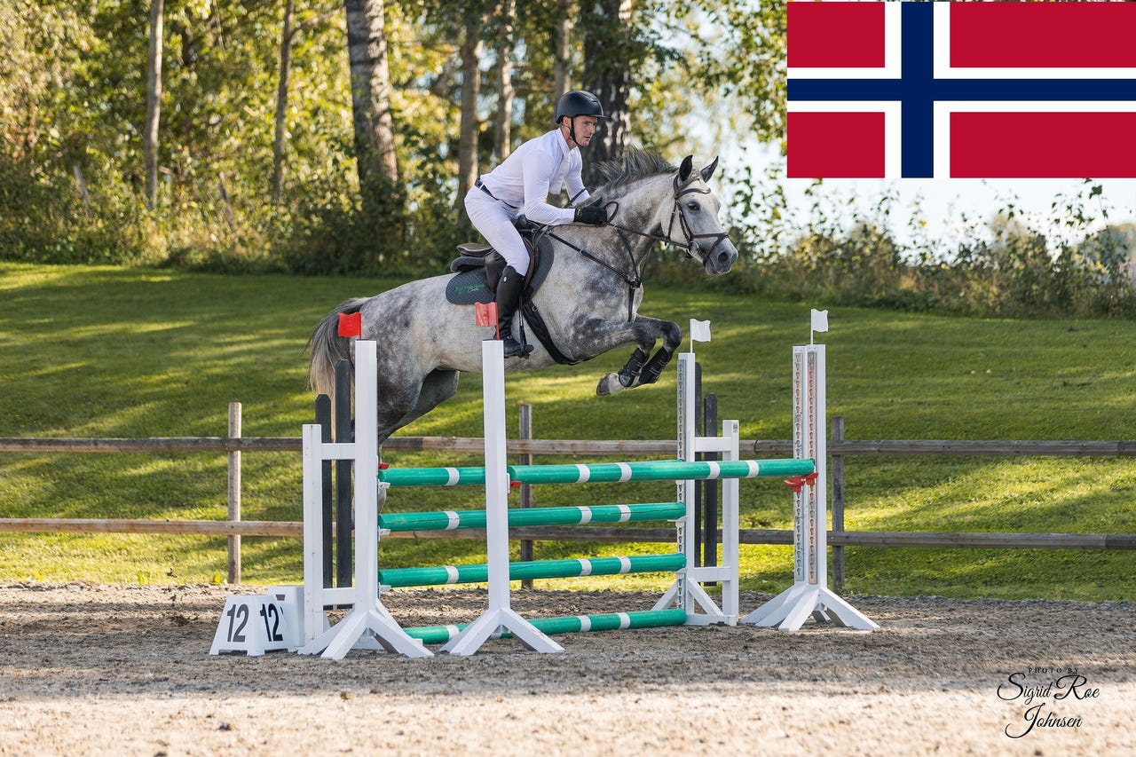 FINN DIN NYE HEST I DAG | FINN-torget