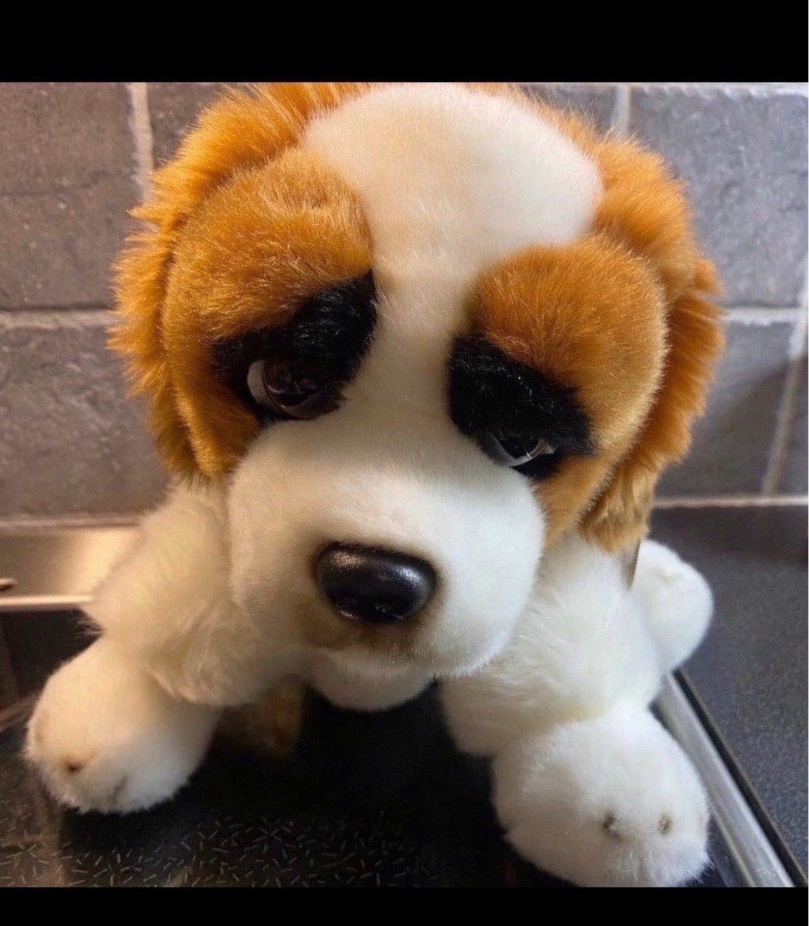 Ny kul hunde bamse | FINN-torget