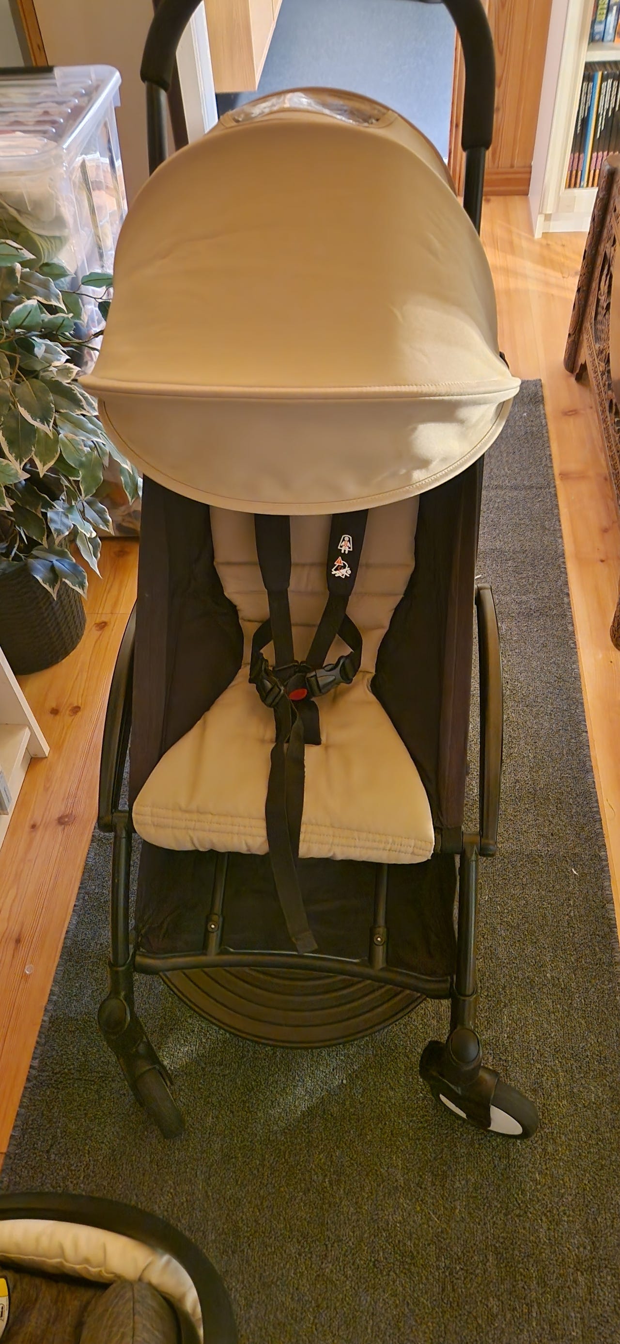 Trille selges rimelig. | FINN-torget