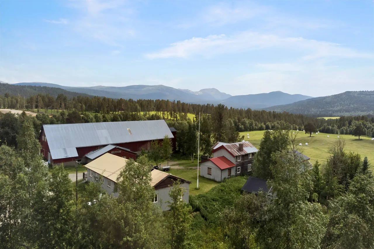 Gård med mangfold & muligheter. Drift med melkeku, seterdrift, jakt ...
