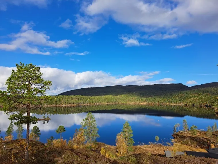 Koselig hytte med flott beliggenhet ved Åsvatnet. Svært solrikt beliggende ca 100m fra vannet ...