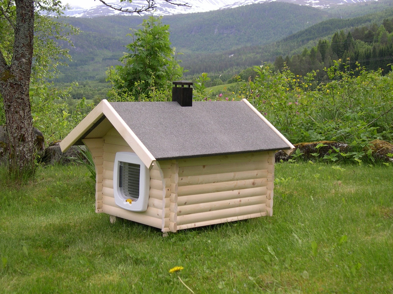 Kattehus | FINN-torget