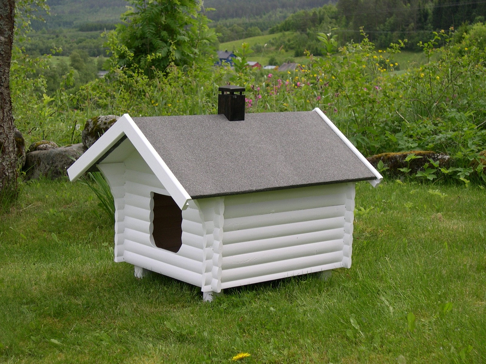 Kattehus | FINN-torget