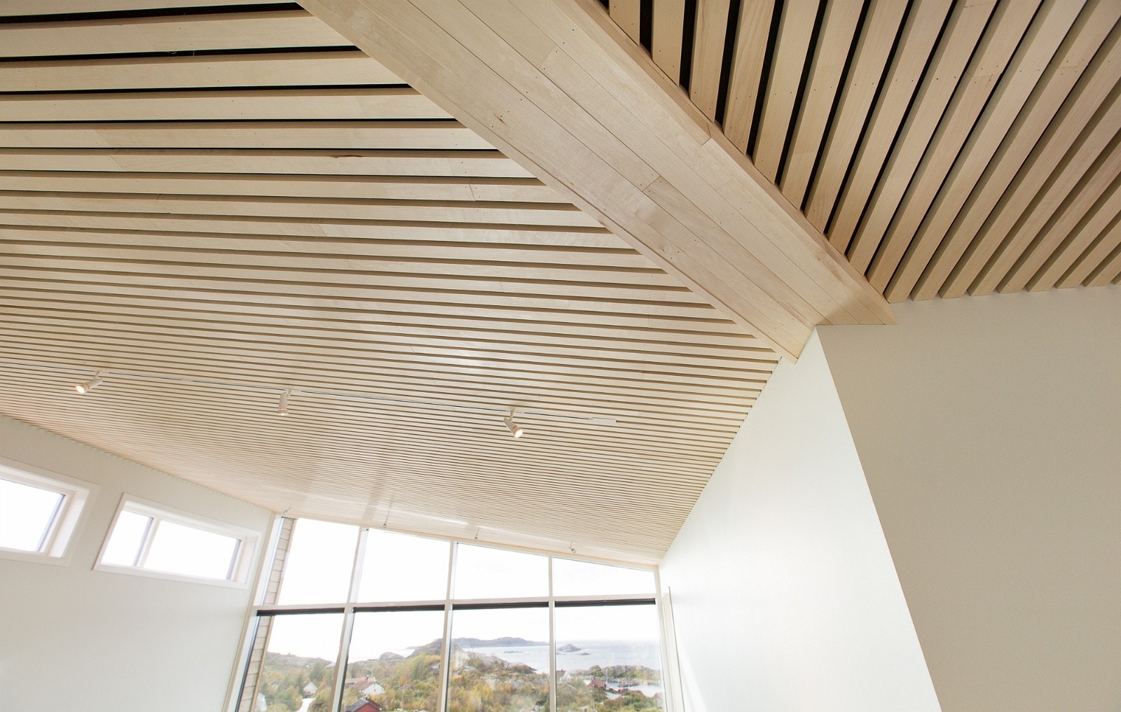 Spilehimling, Heltre Eik, Osp og Furu. | FINN torget