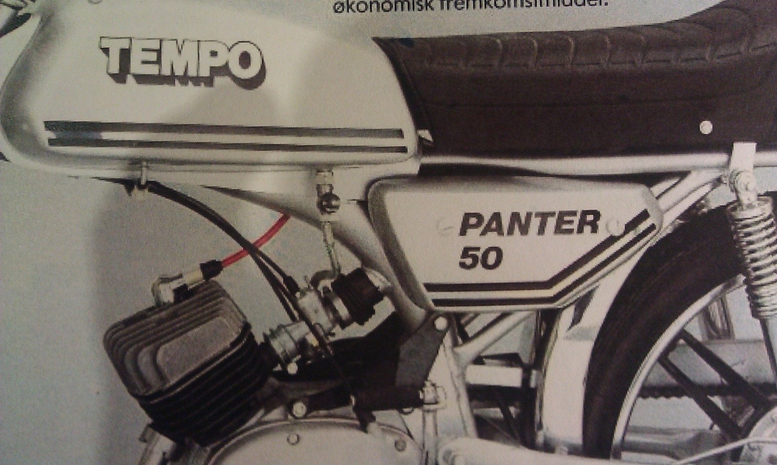 Tempo Panter dekor/ dekal sett | FINN-torget