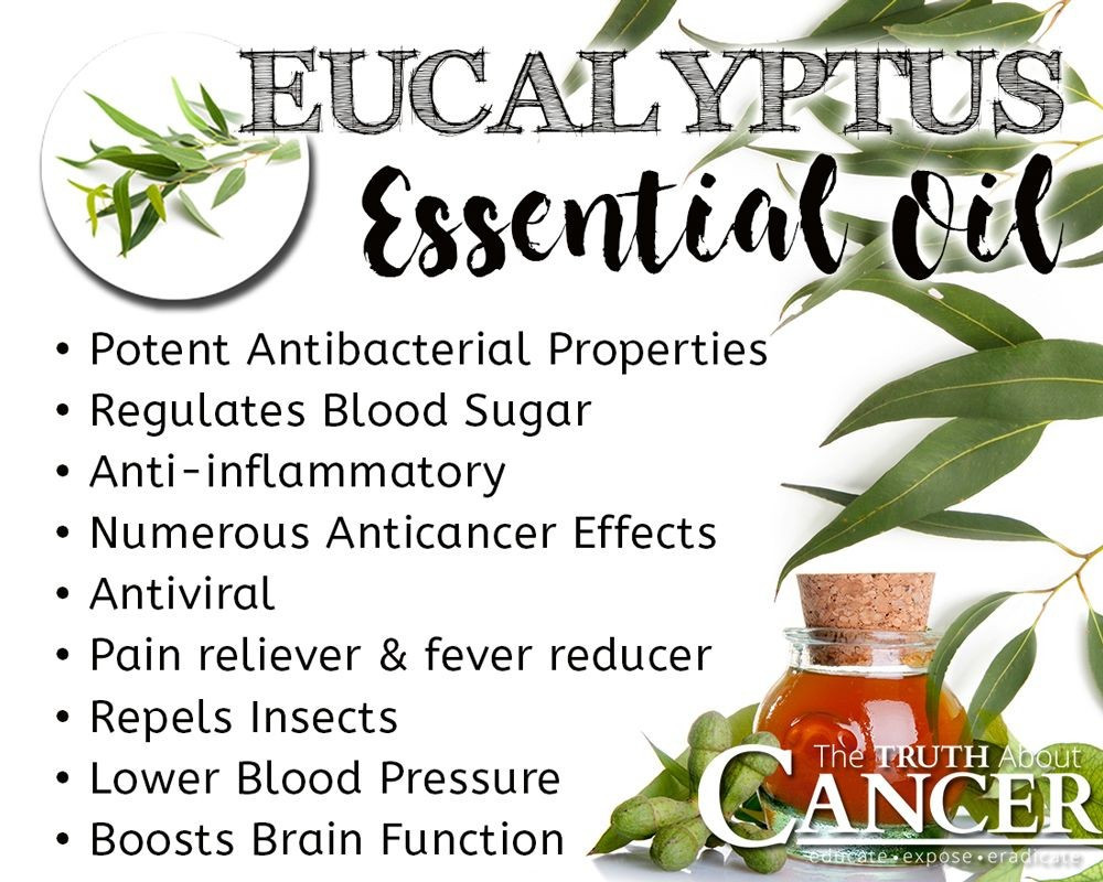 Eucalyptus essential oil uses store