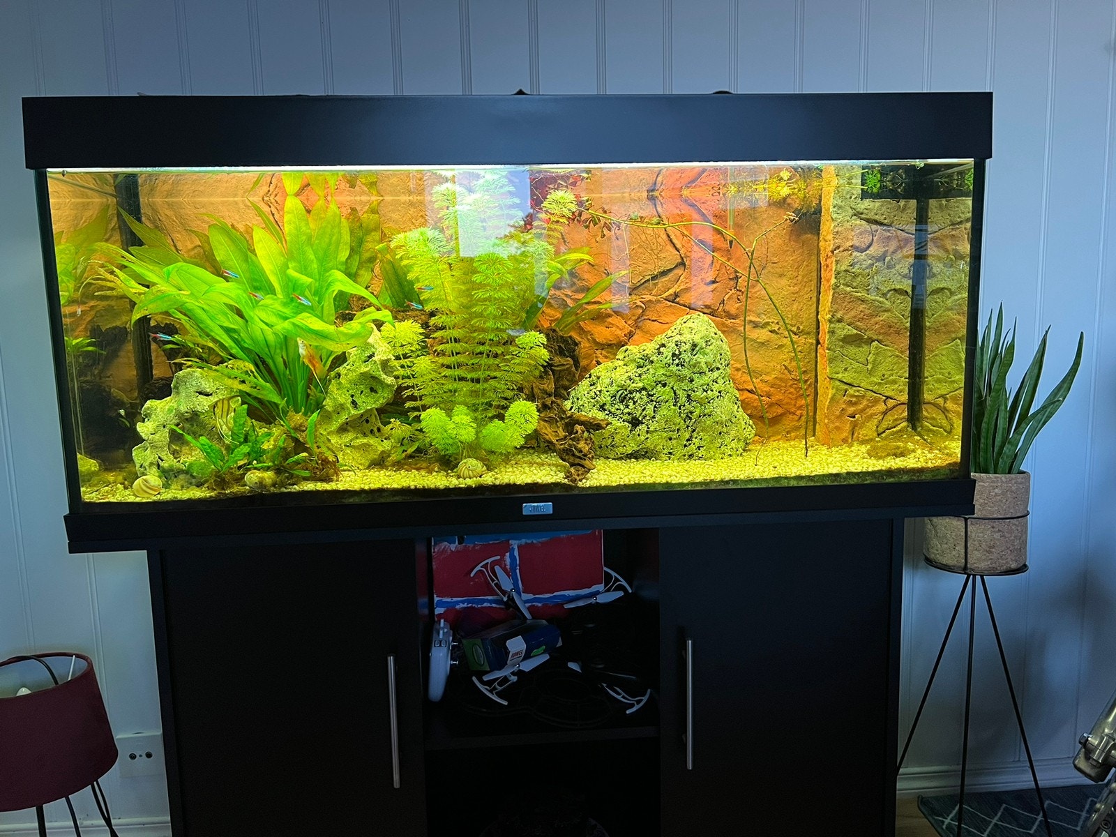 Stort akvarium | FINN.no