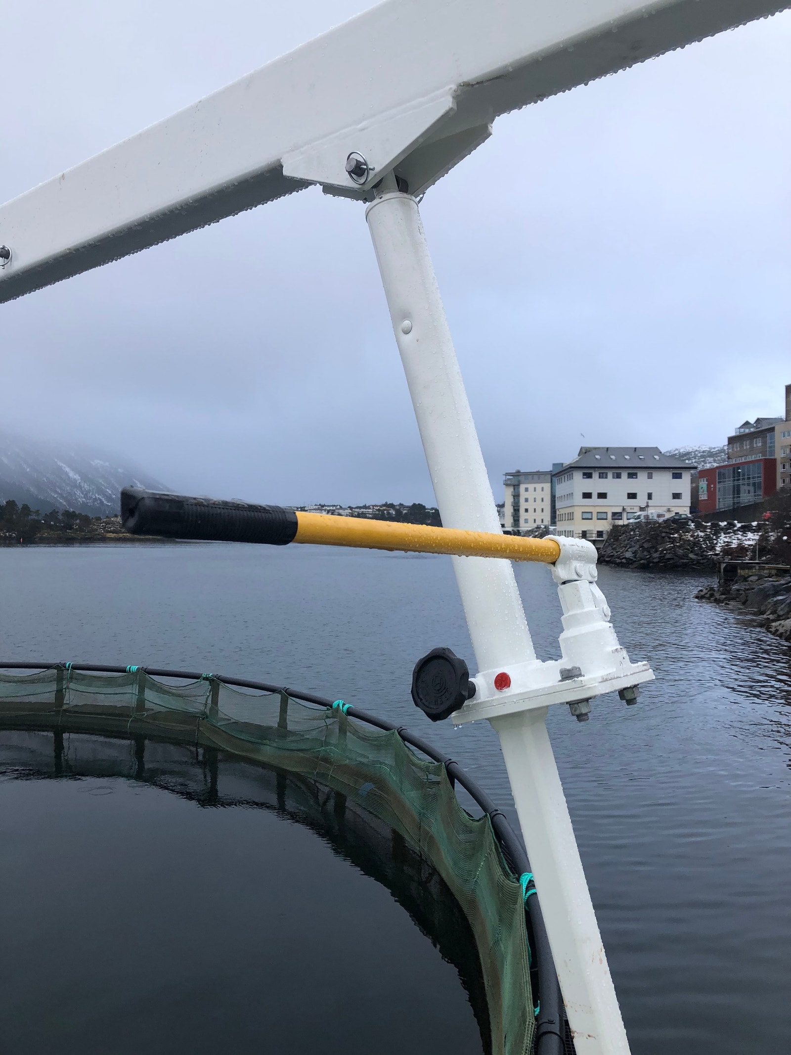 Kaikran 500kg | FINN-torget